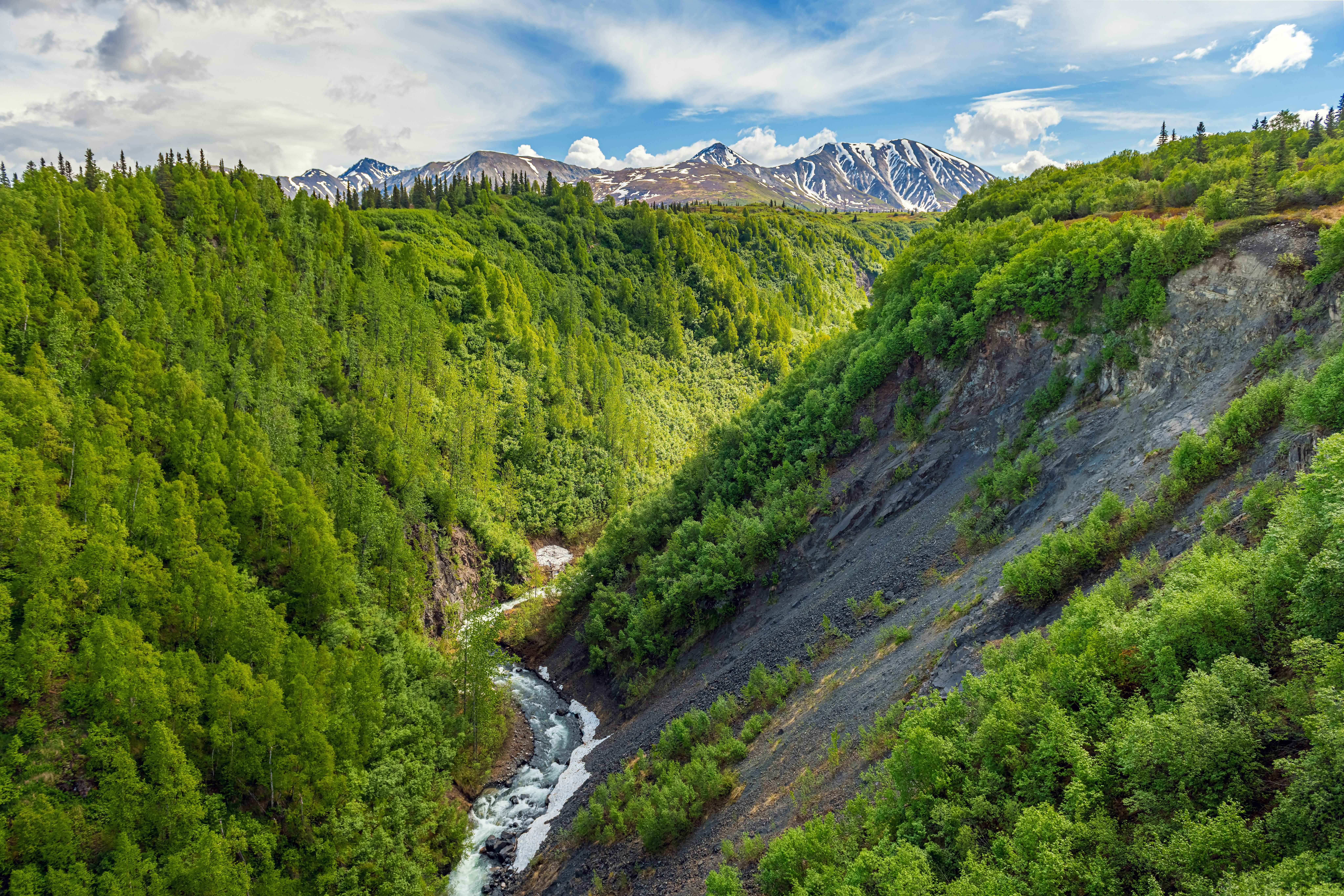 The Alaska Railroad: Everything Cruisers Need to Know