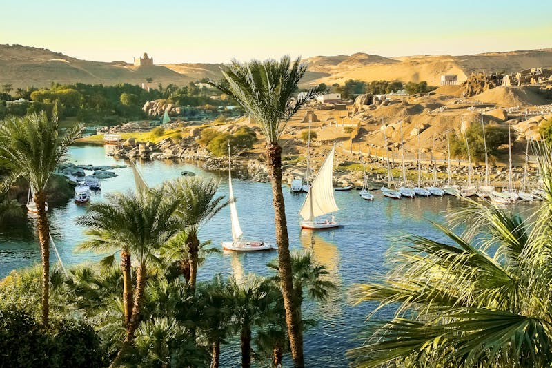 TUI Al Horeya Preview