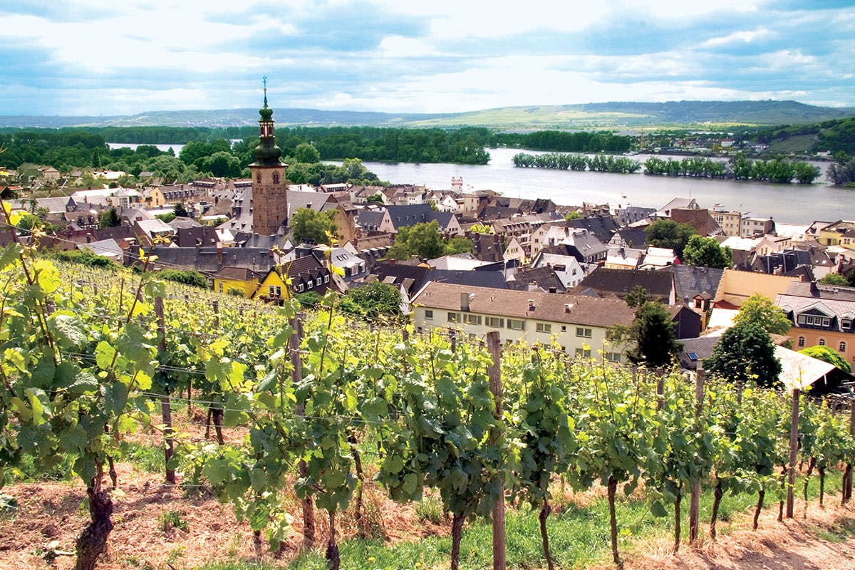 11 Best Things to do on a Rhine Cruise