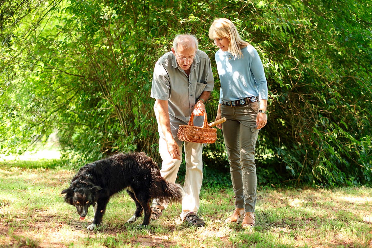 A First Timer's Guide to River Cruising