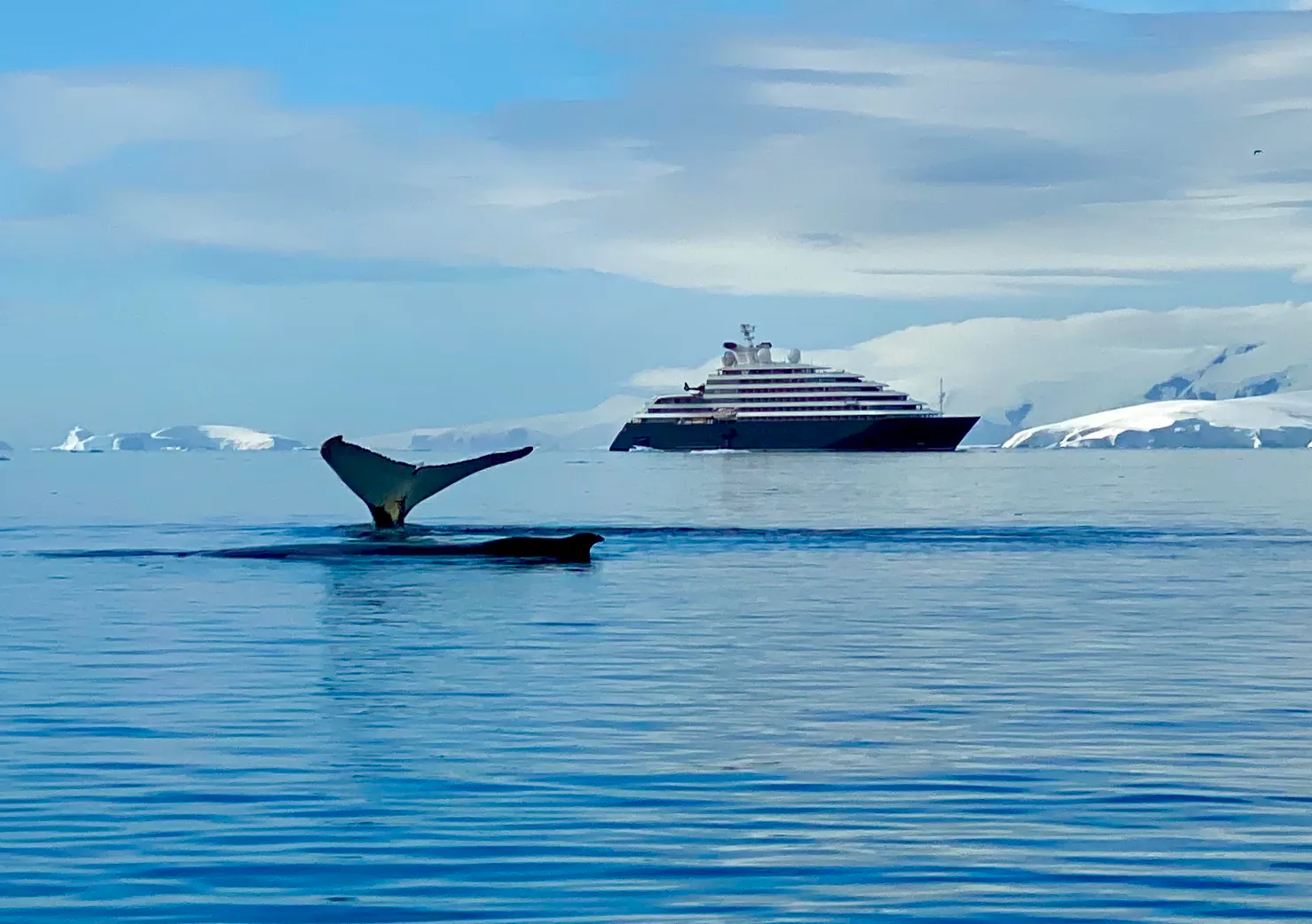 Presidents' Day Cruise Deals - Cruise Critic