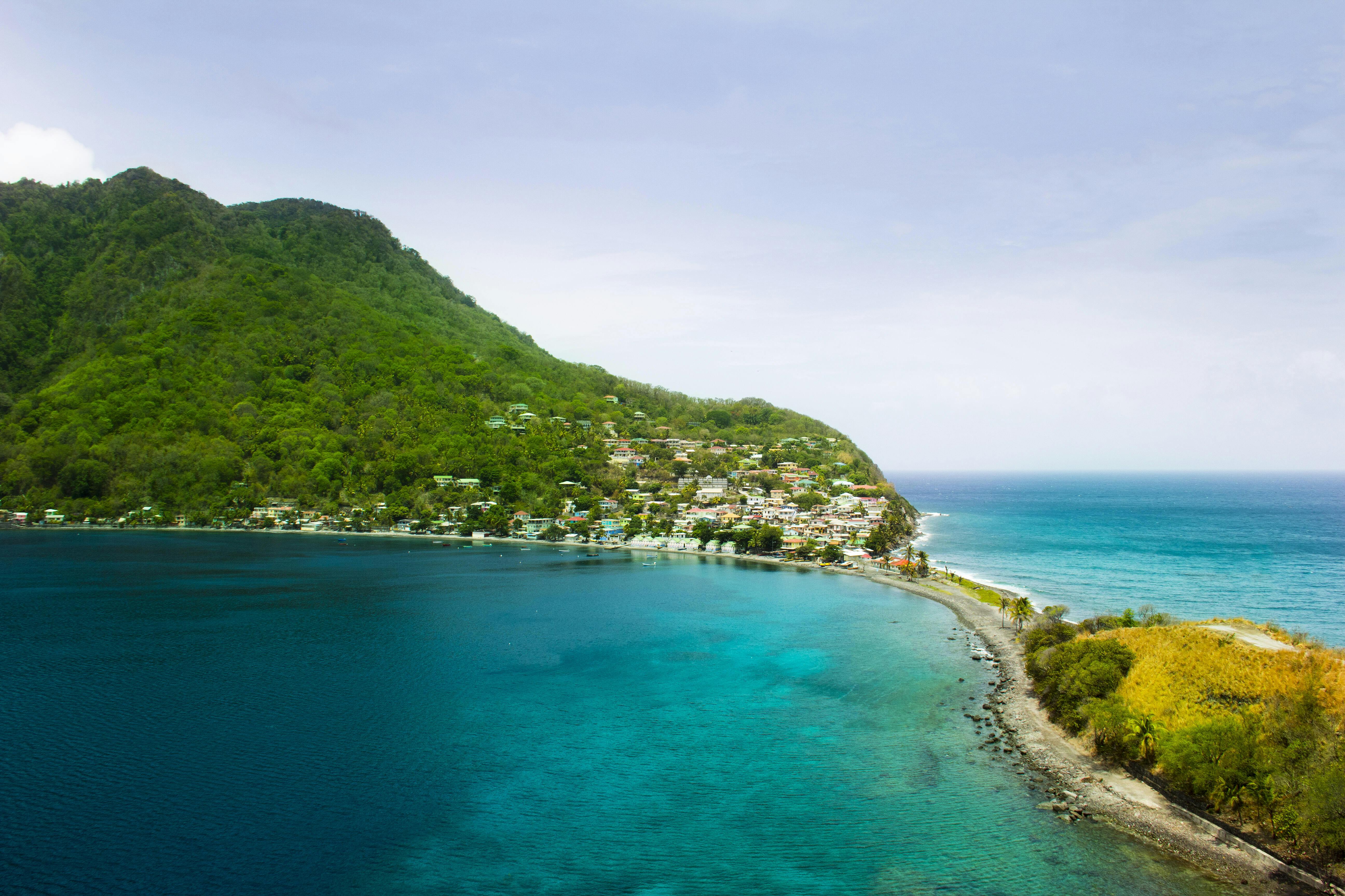 11 Best Whale Watching Cruise Shore Excursions