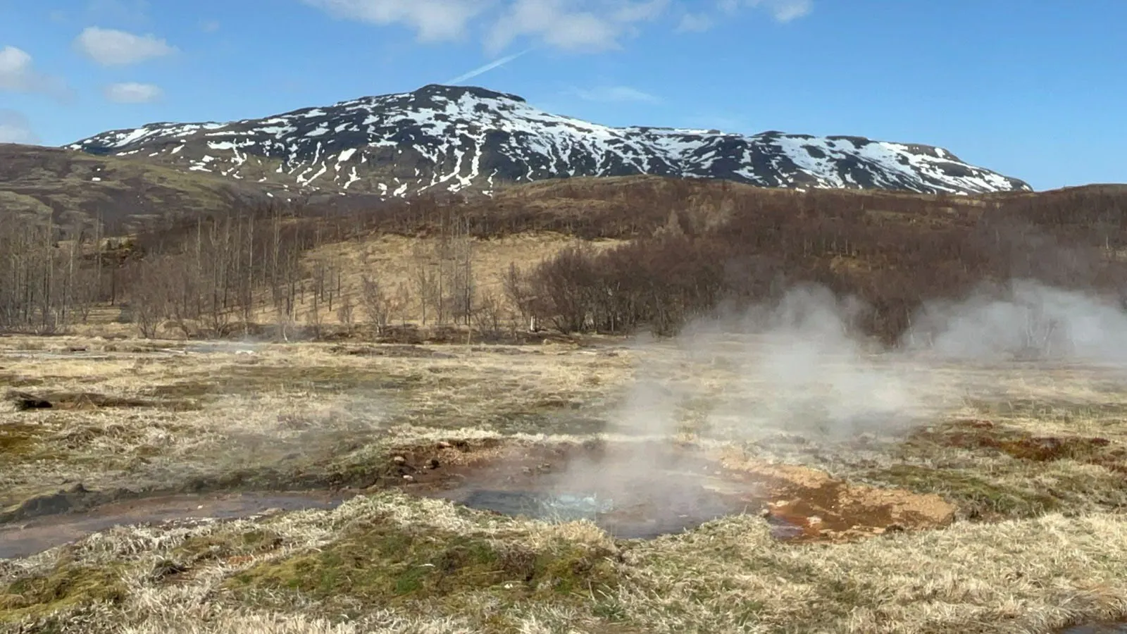 What to Expect on a Viking Iceland Cruise