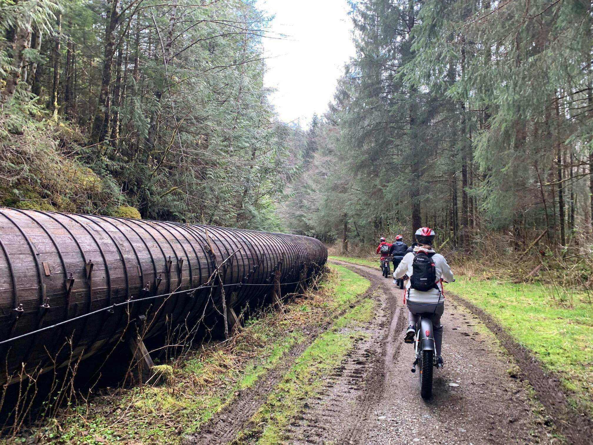 Everything You Need to Know About Alaska’s Ward Cove