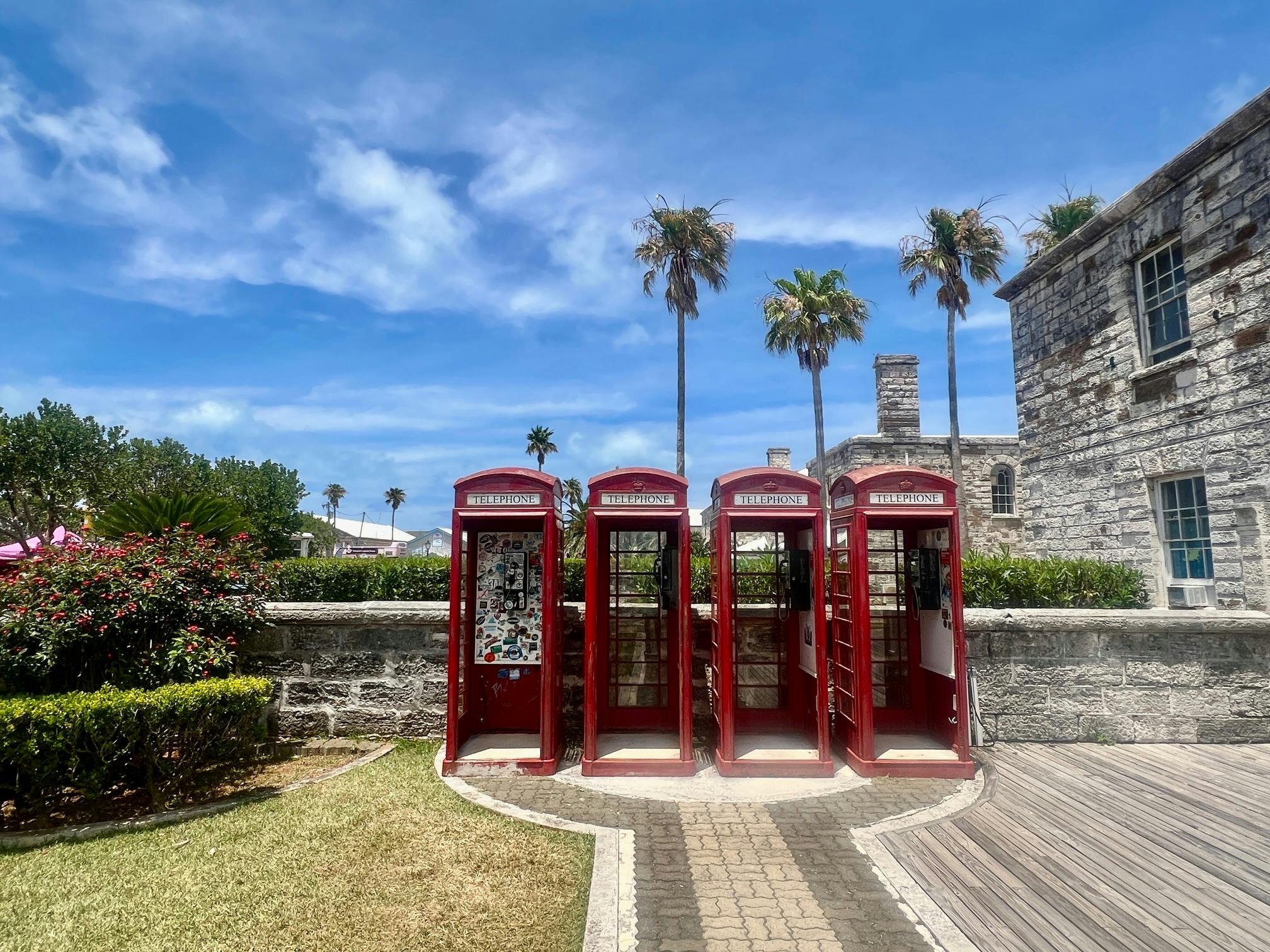 How Cruise Critic Members Have Helped Shape the Cruise Industry