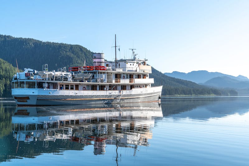 Mist Cove Cruise: Expert Review (2023)