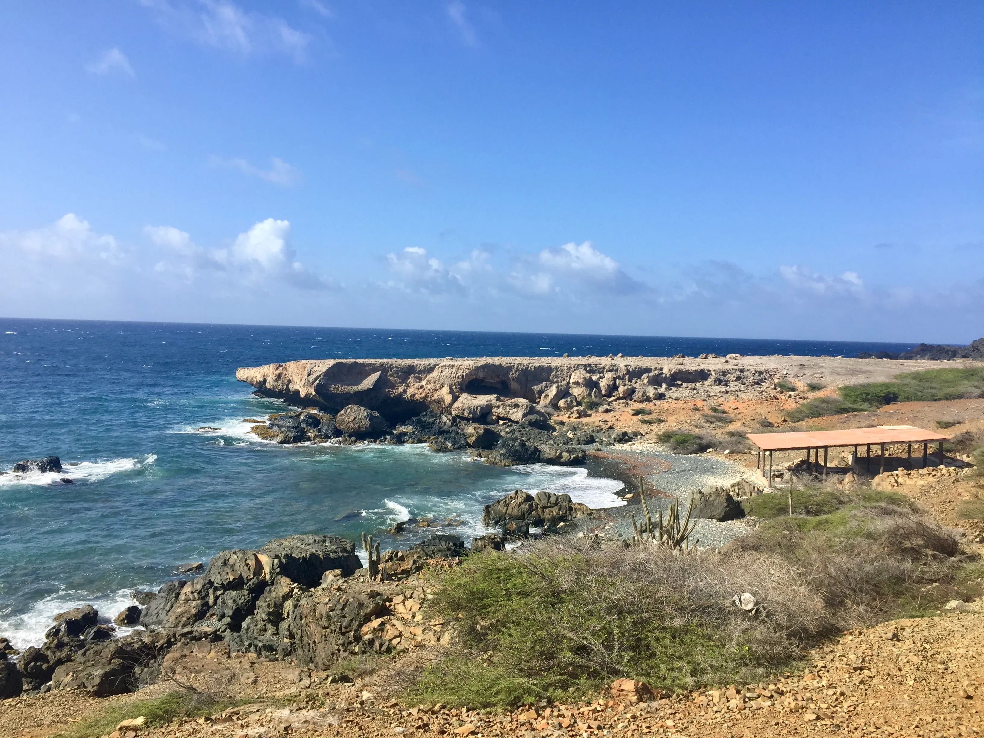 The Best Time to Visit Aruba: A Month-by-Month Guide - Cruise Critic