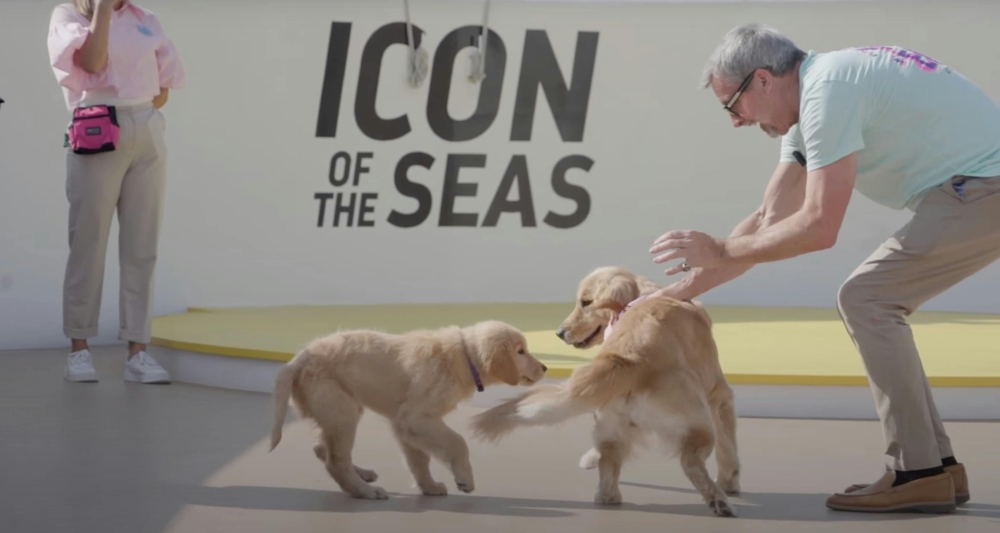 RCL Dog Officers Rover and Sailor Meet