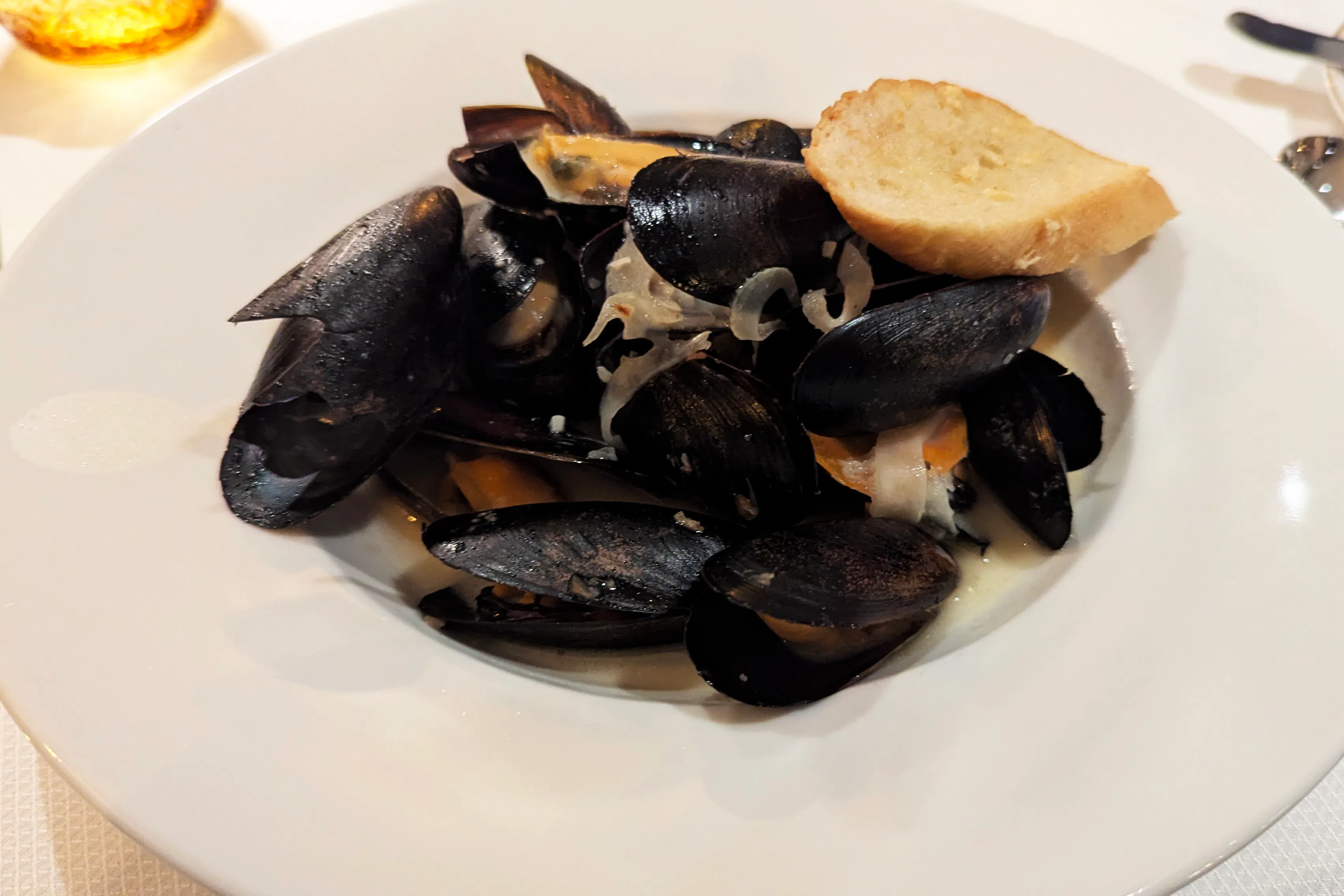 Expert Review of Windstar Star Seeker