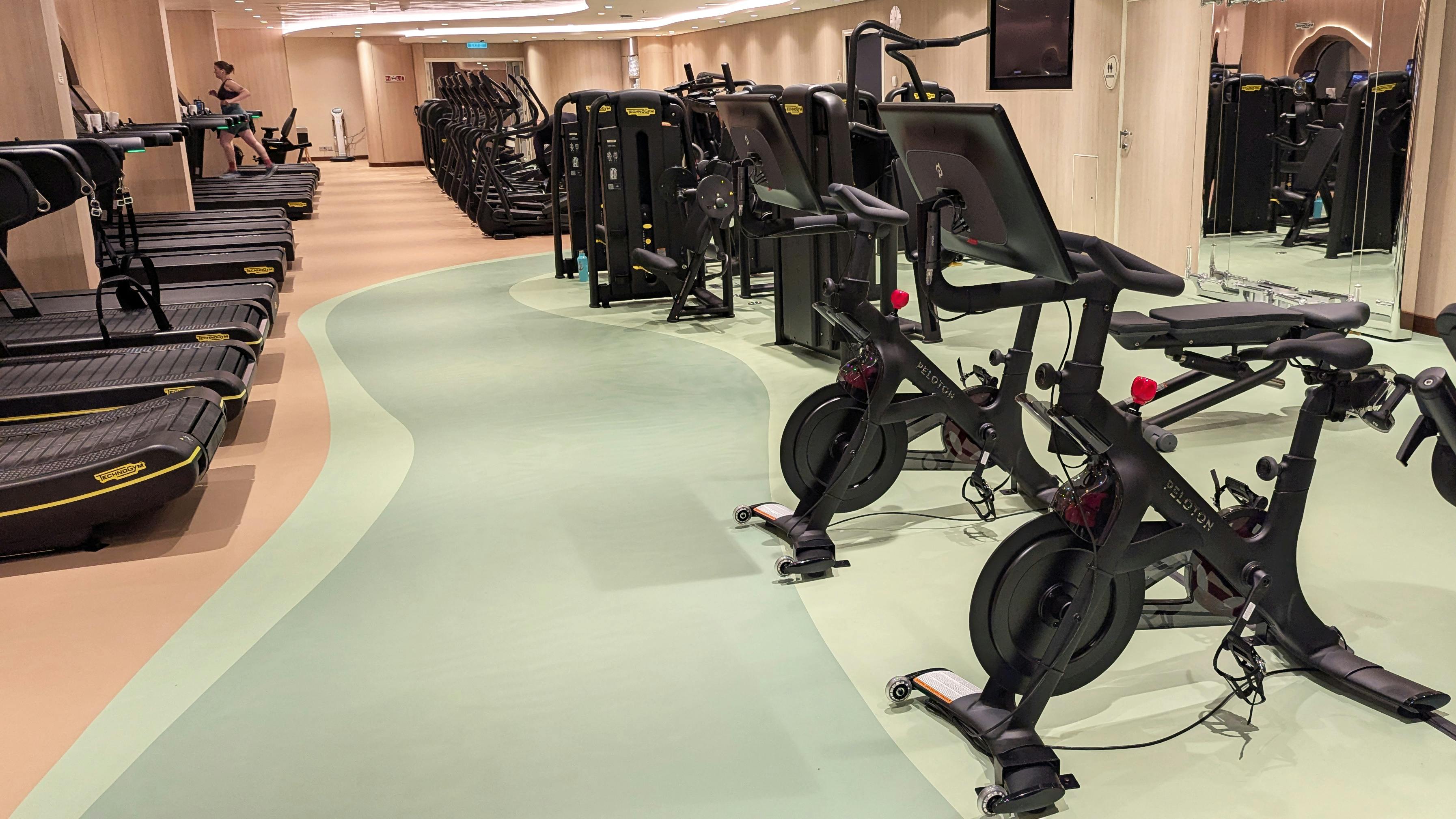 Disney Treasure Activities, Entertainment & Amenities for Kids & Adults ...