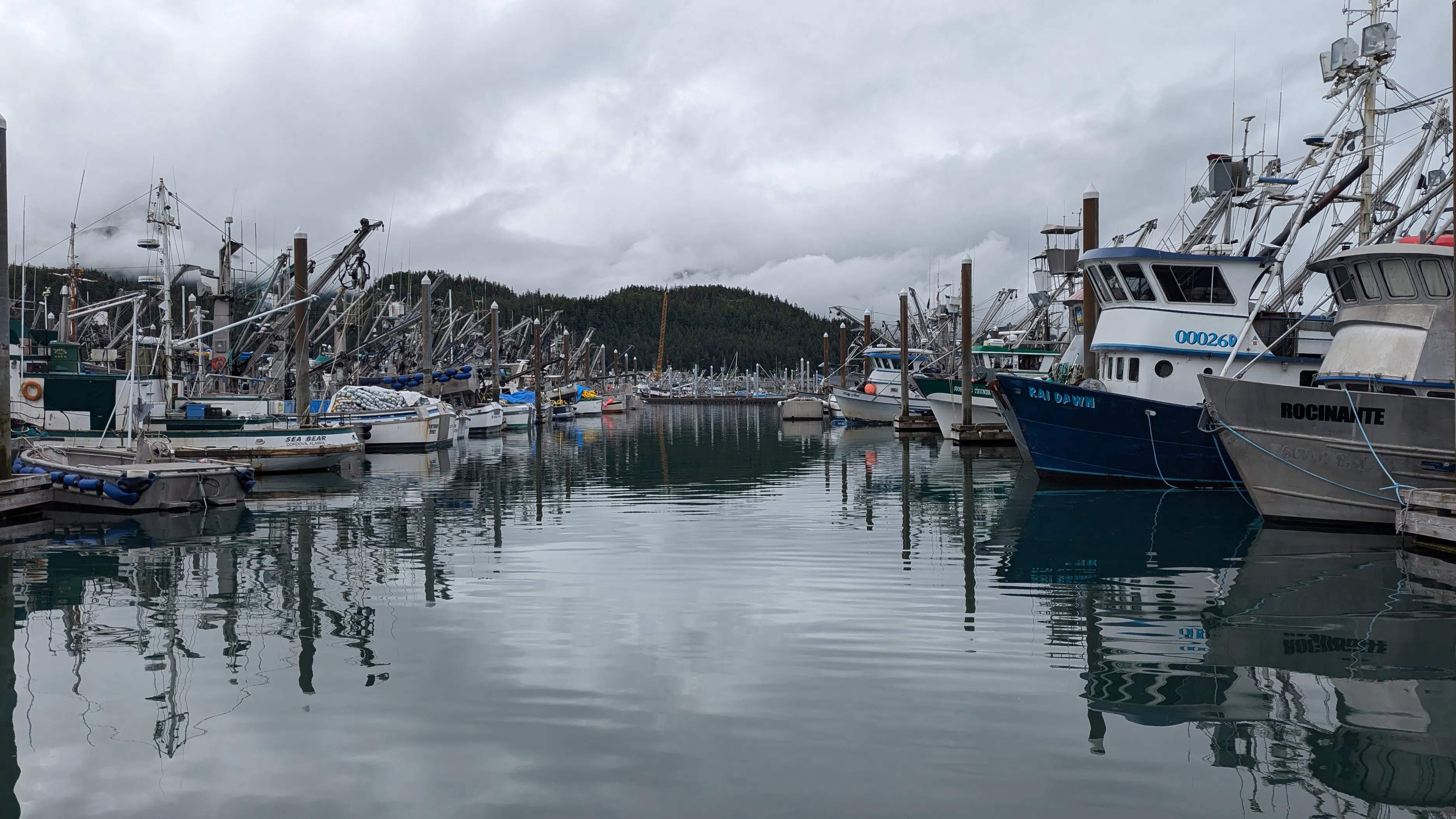 Why a South Central Alaska Cruise is Perfect for You