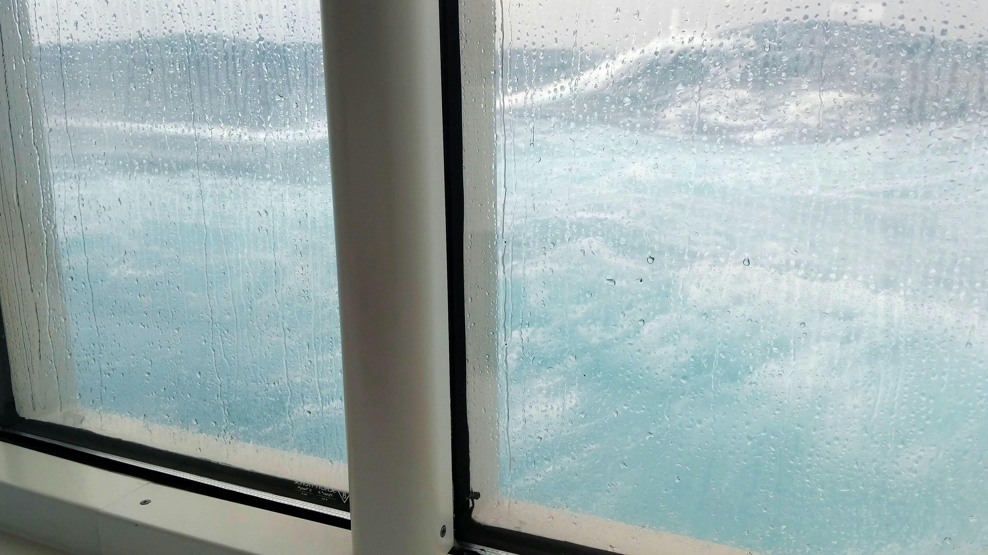 Drake Passage Guide: Seasickness, Weather and More Tips