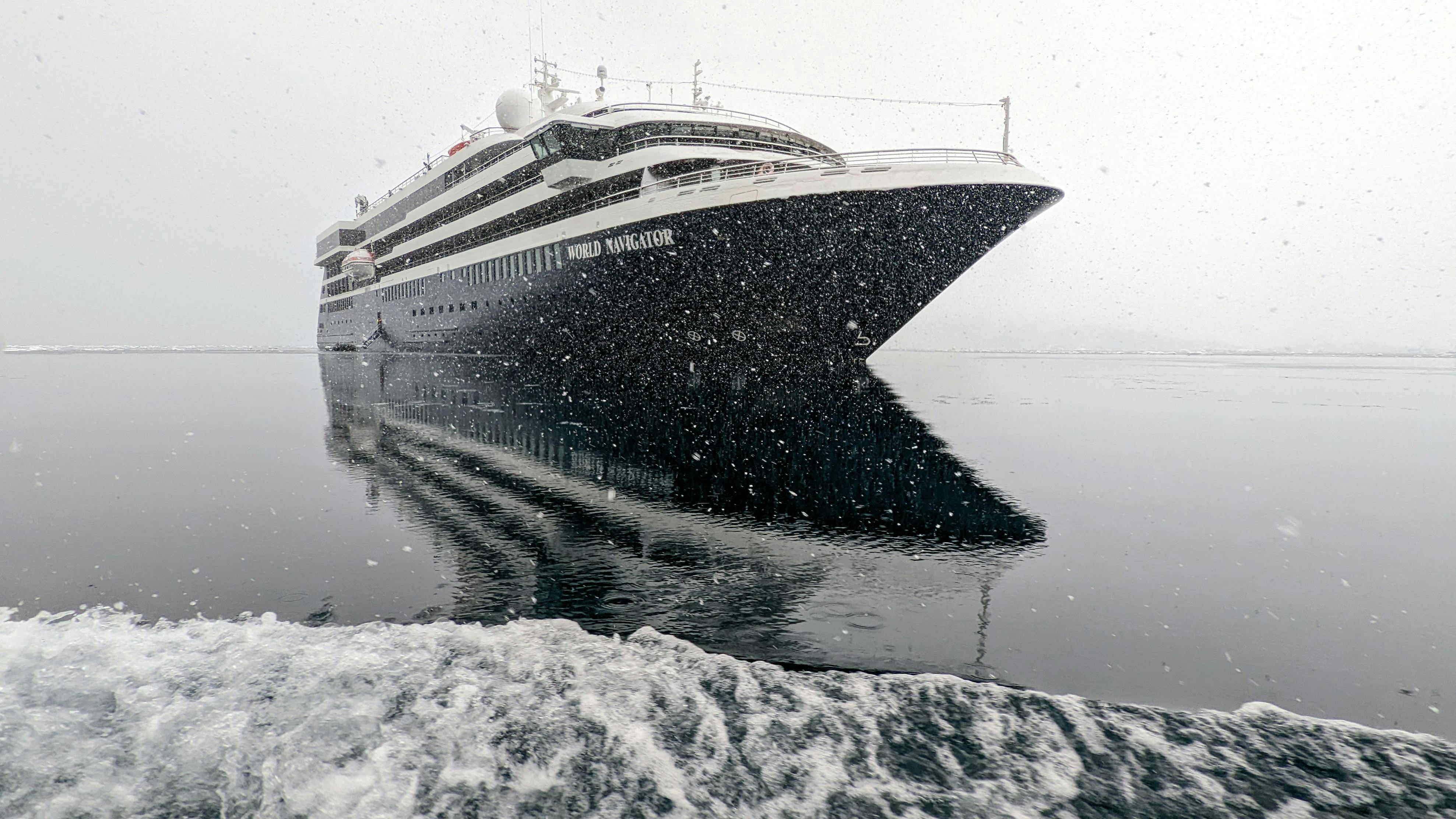 Cruising Antarctica and the Arctic: Which Expedition Cruise to Choose