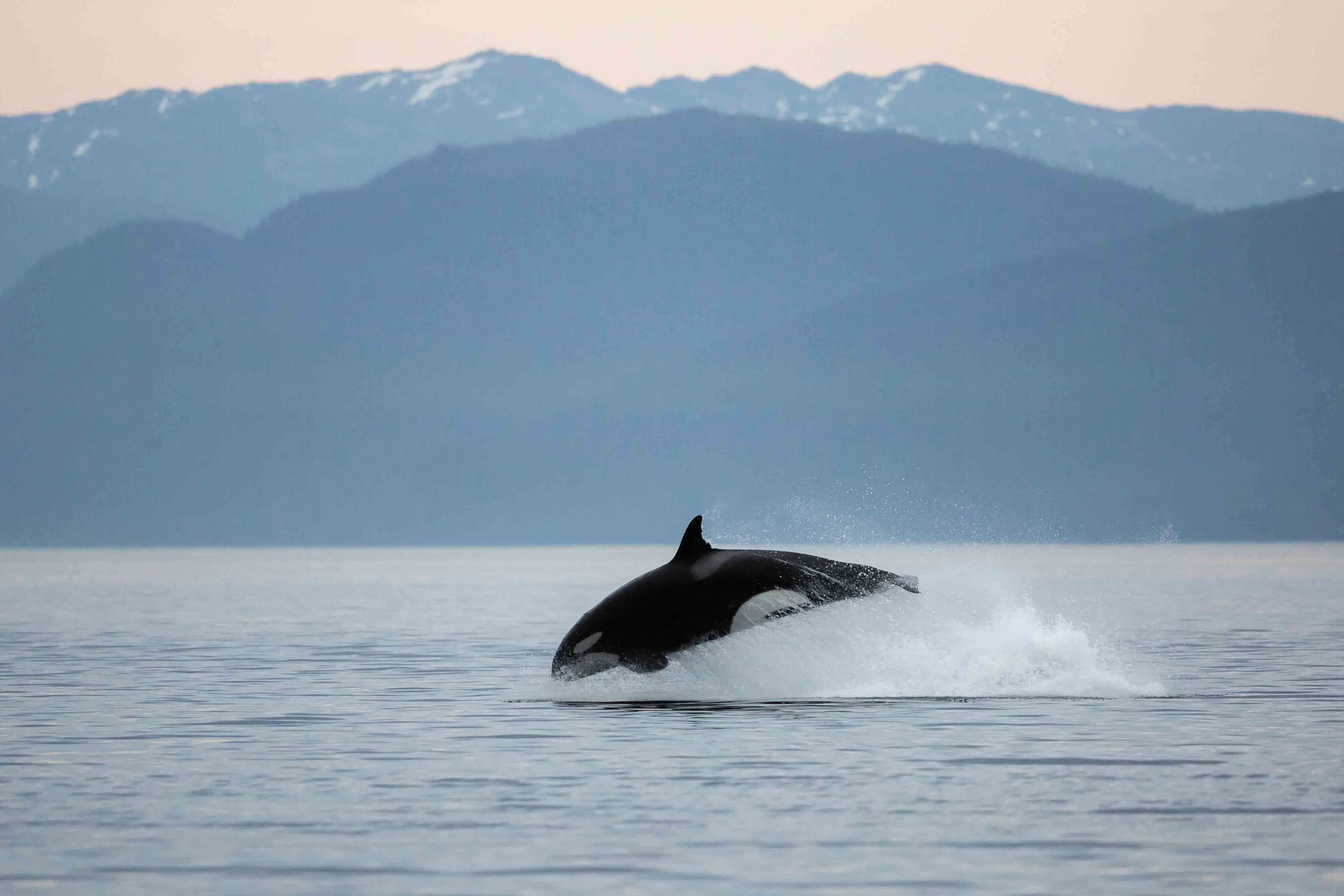 8 Things to Do in Ketchikan on an Alaska Cruise - Cruise Critic