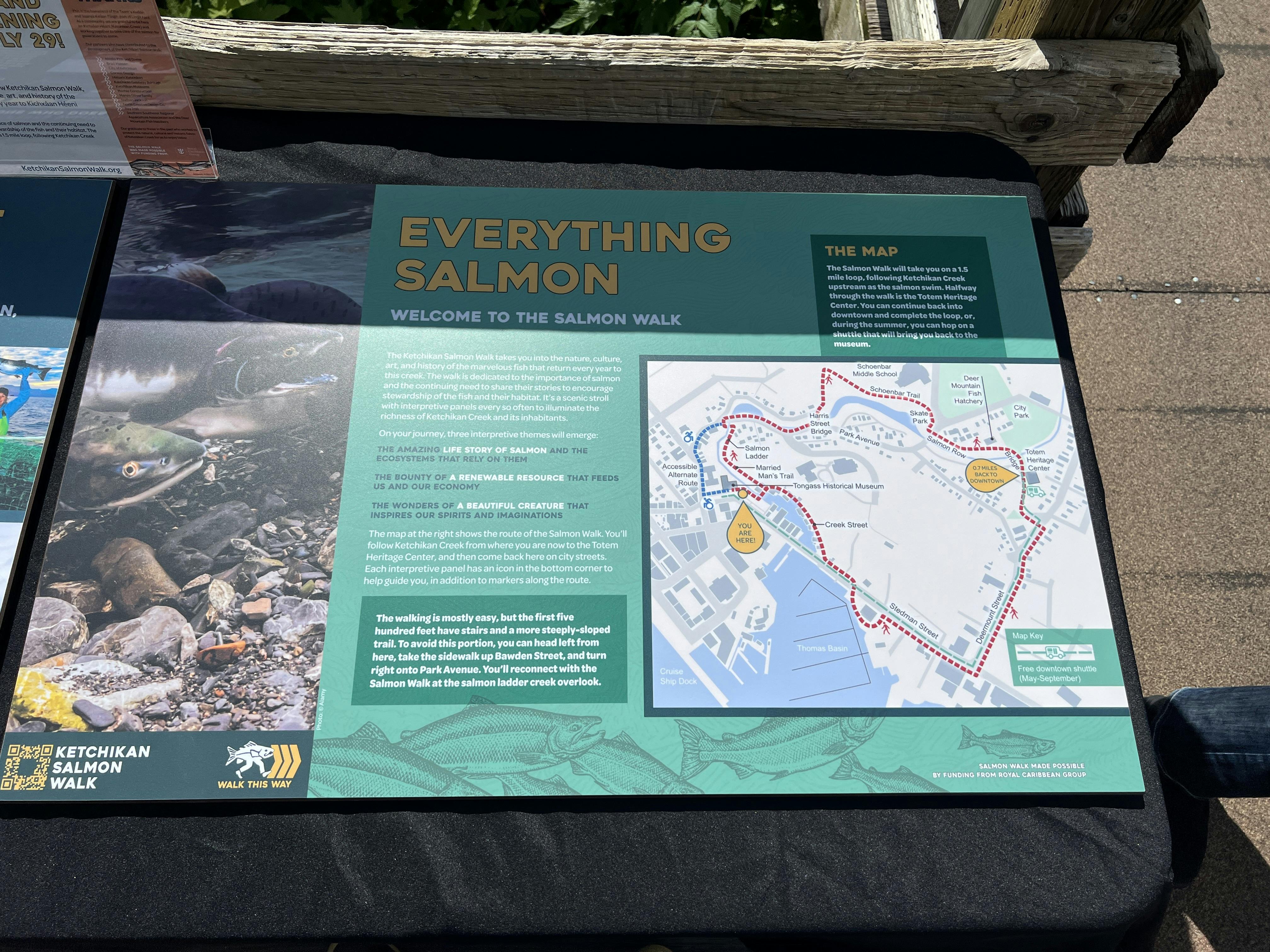 Ketchikan's New Salmon Walk Offers Cruisers Nature Options