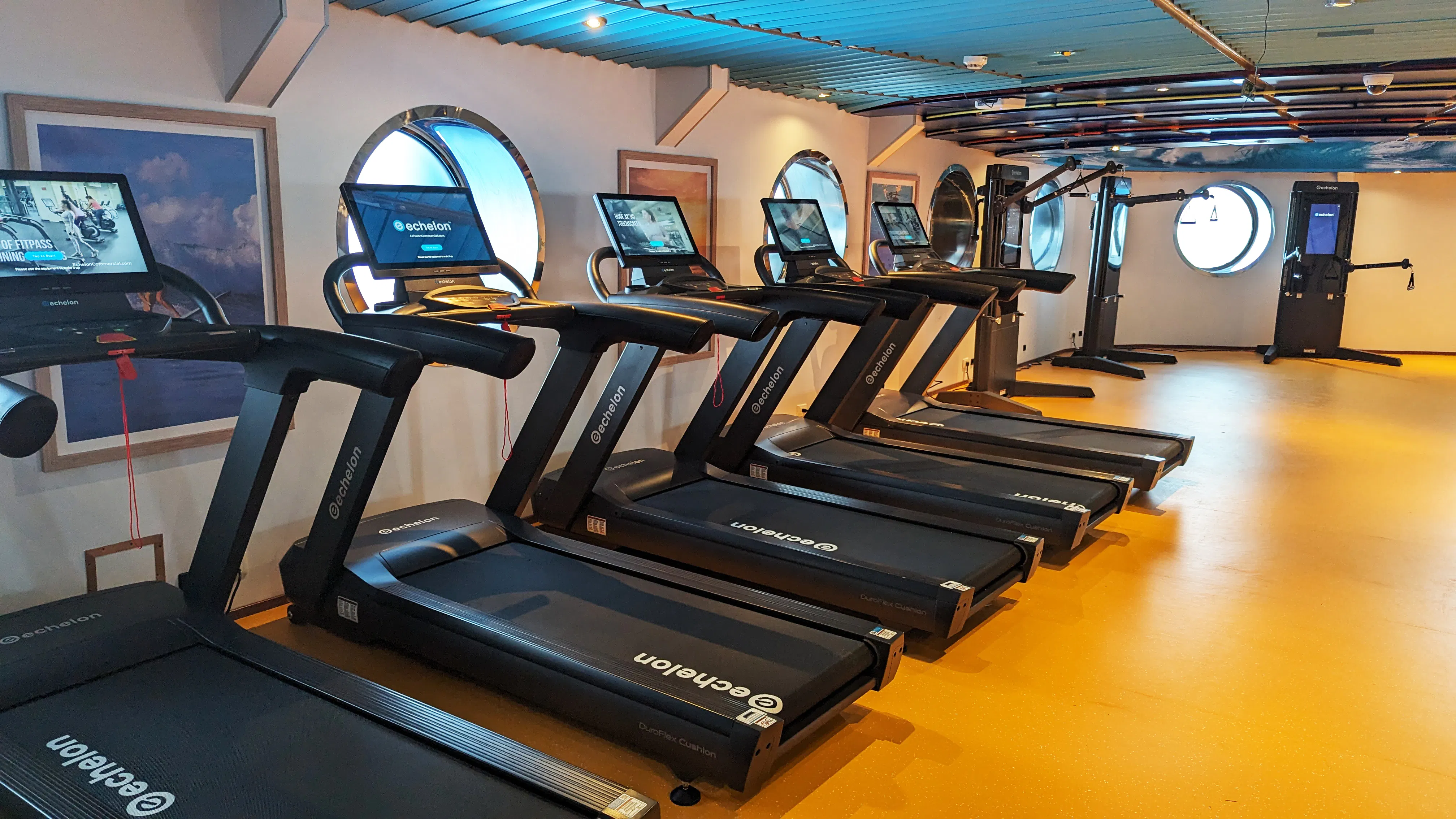 Activities, Entertainment & Amenities for Kids & Adults on Cruise Critic