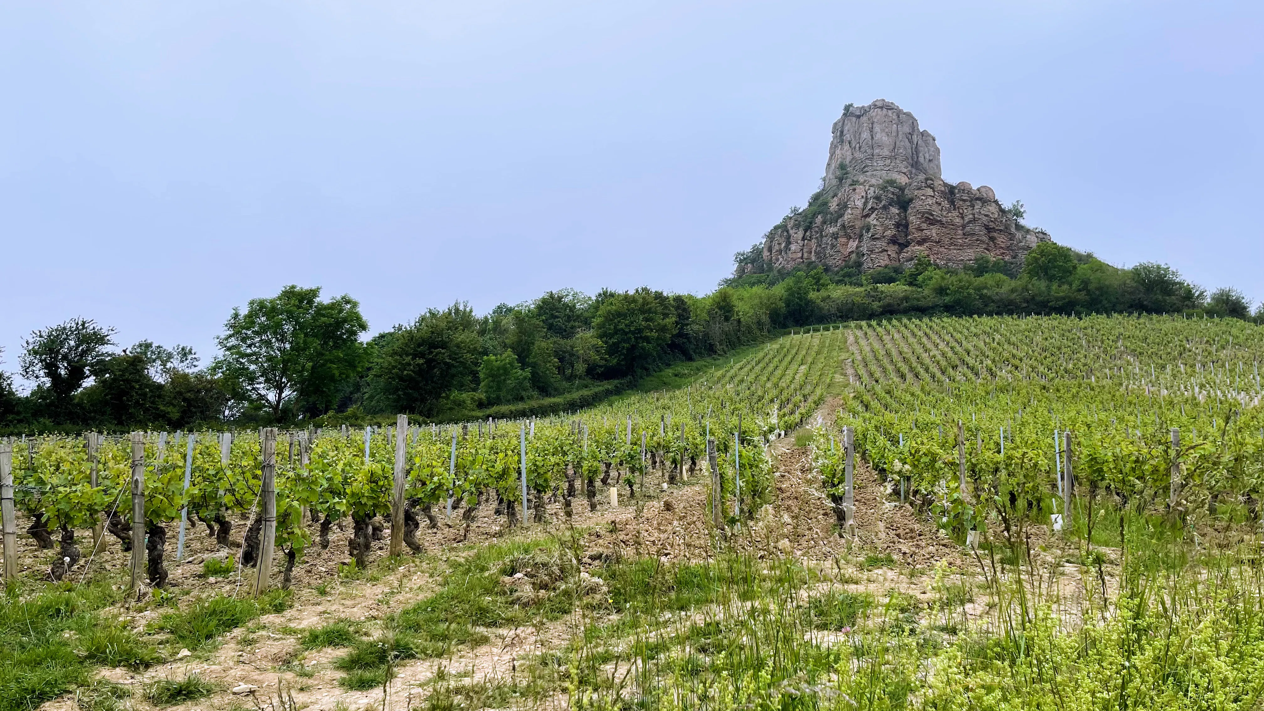 Wine Lovers Guide to the Rhone - Cruise Critic