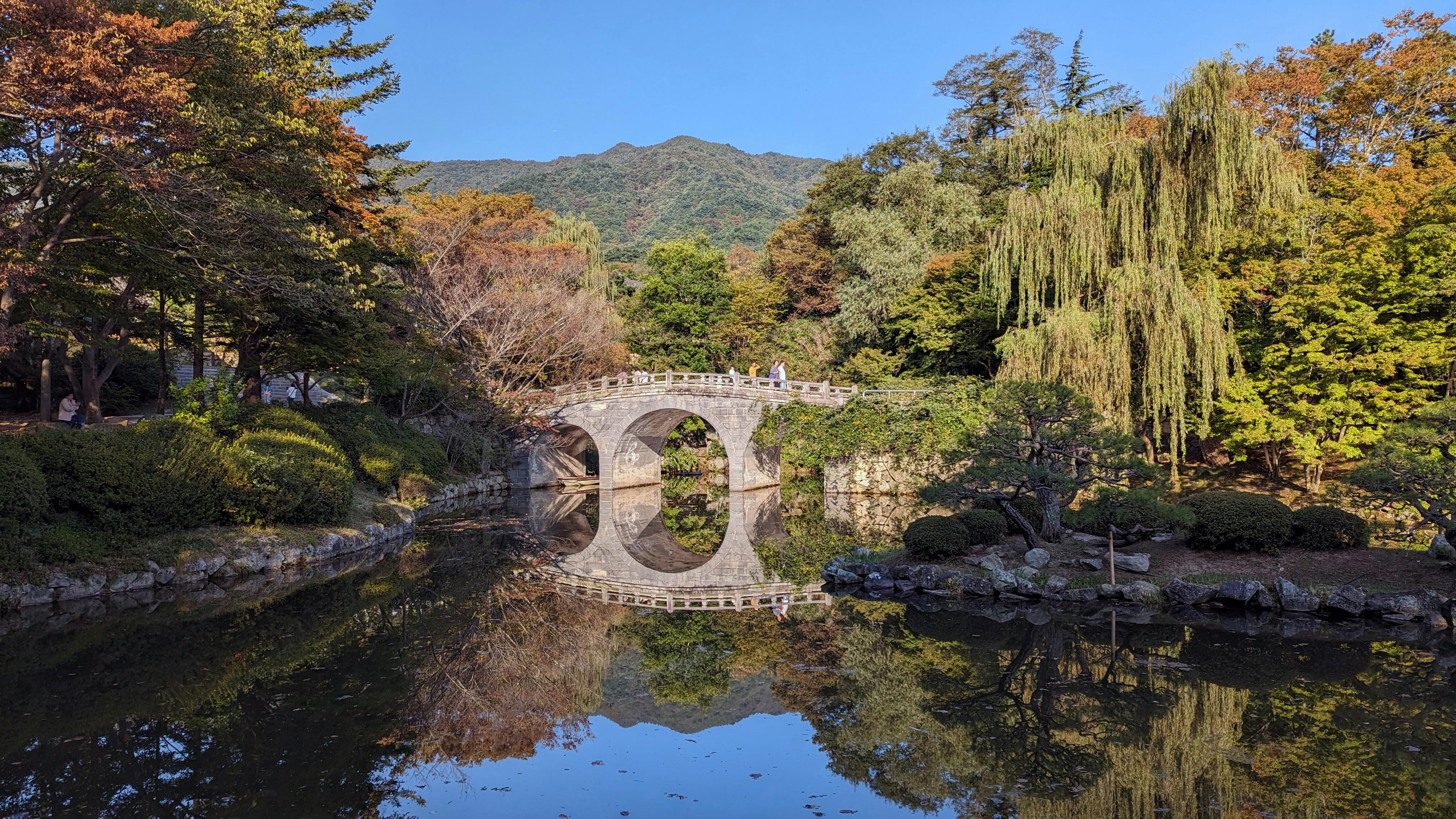 The Pros and Cons of Taking a Japan Cruise