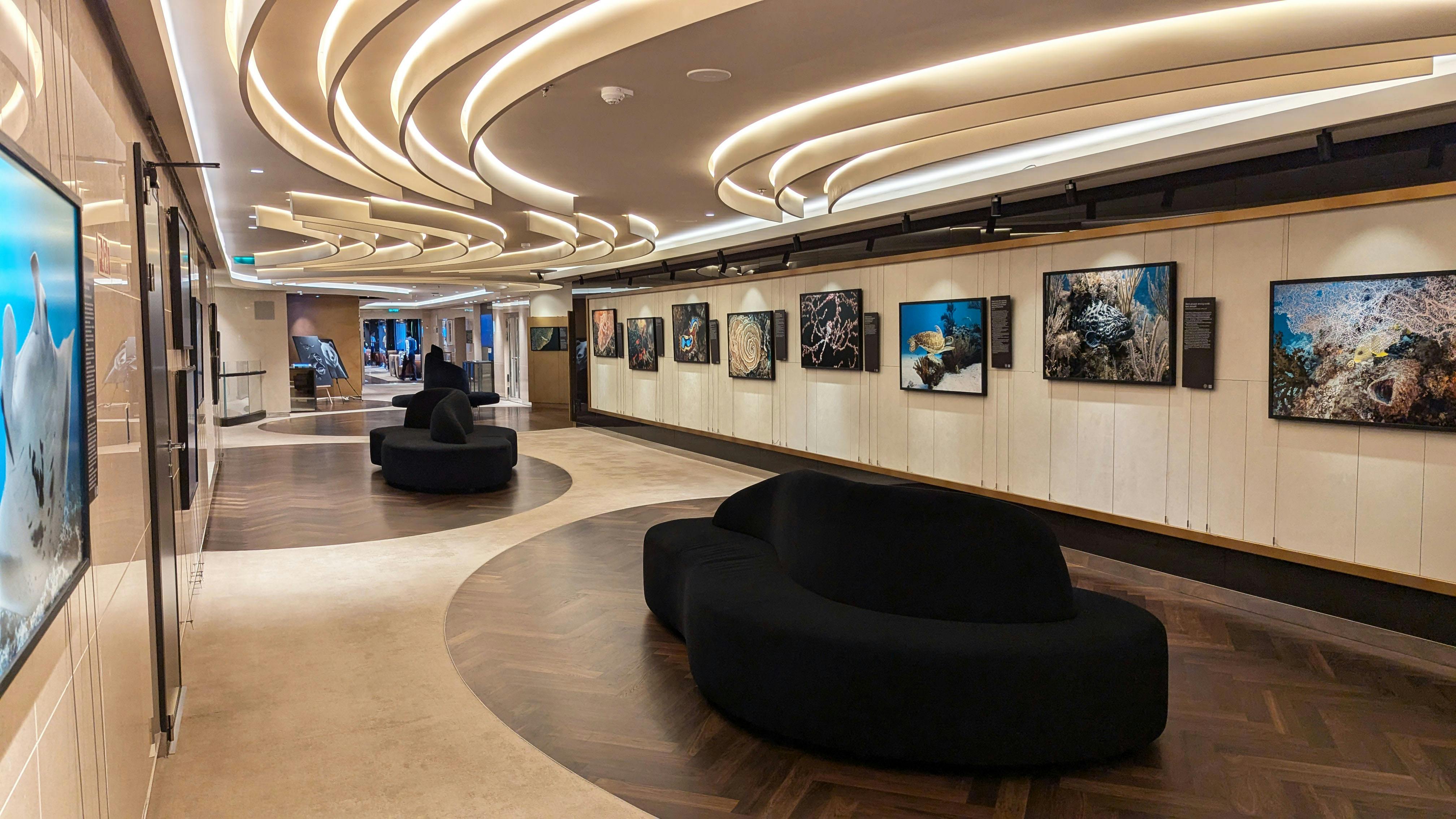 Expert Review of Explora II Cruise Ship