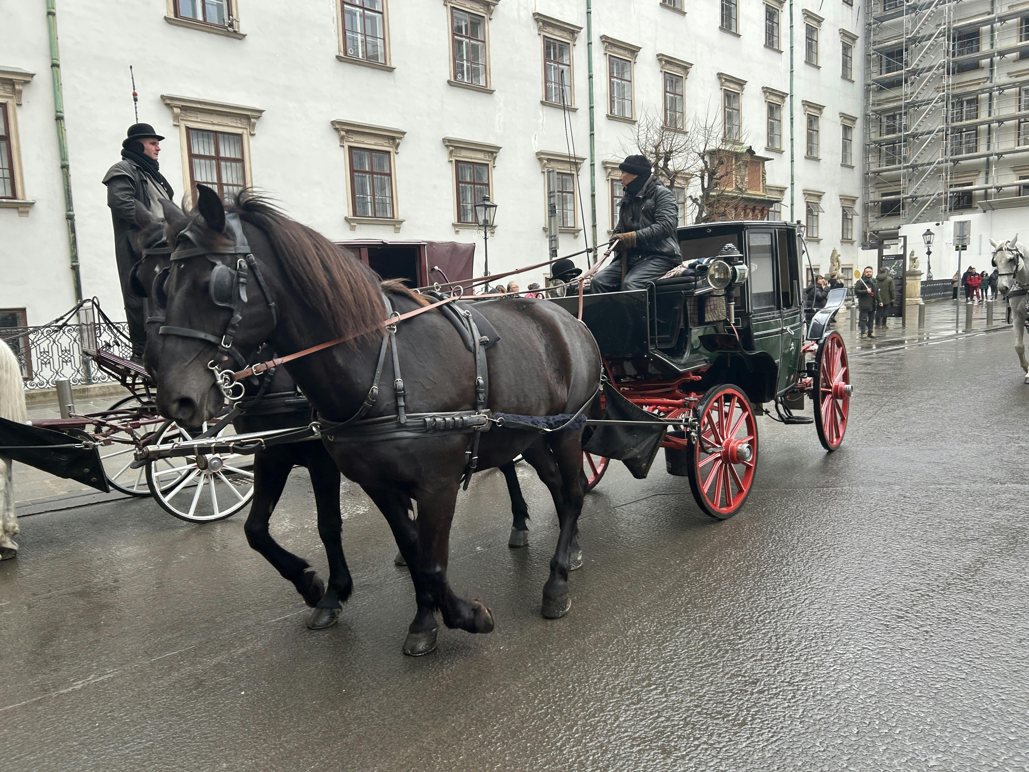 What to Expect on a February/March Cruise on the Danube River