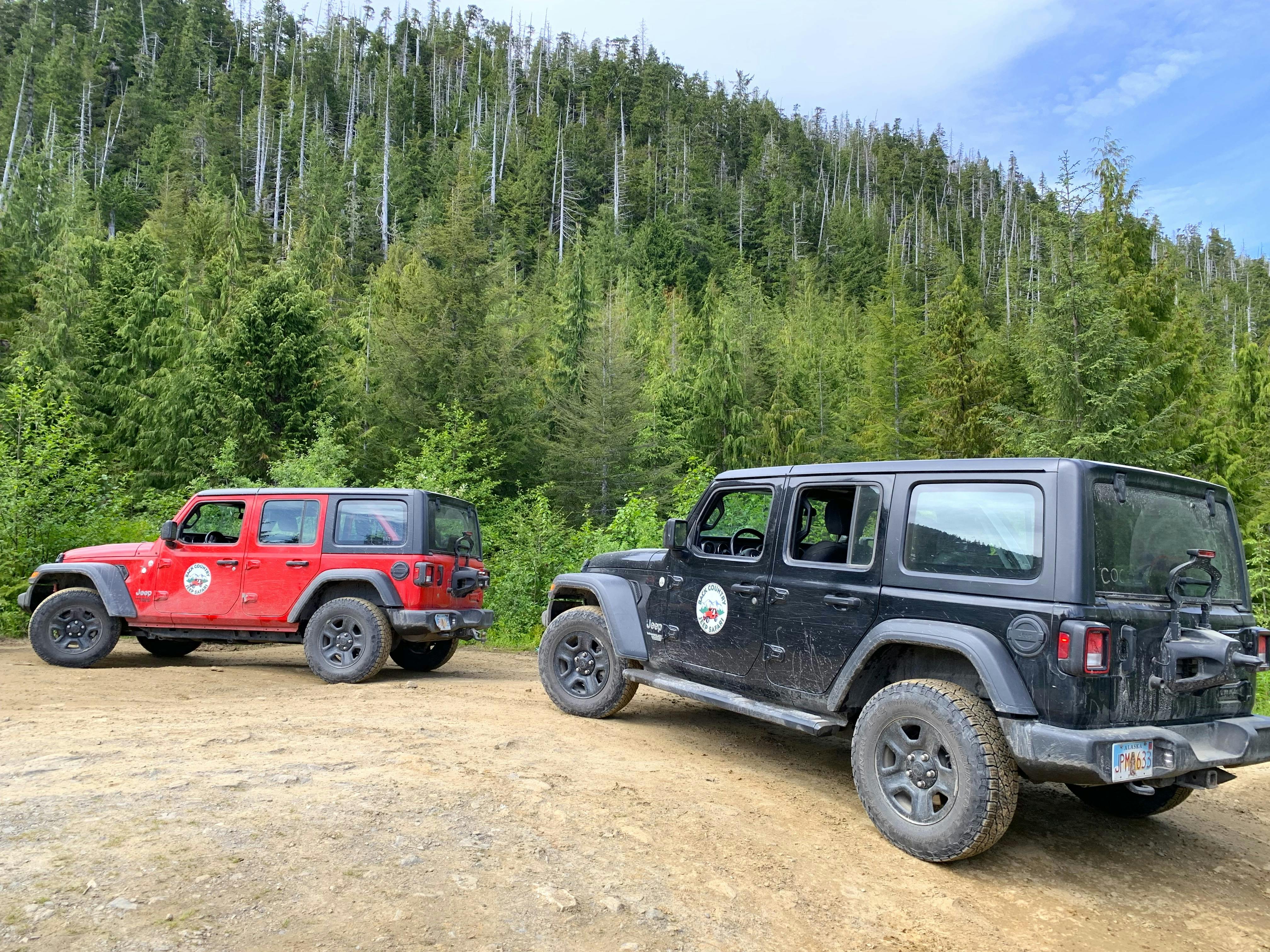 Shore Excursion Age Restrictions on a Cruise and What to Do About Them