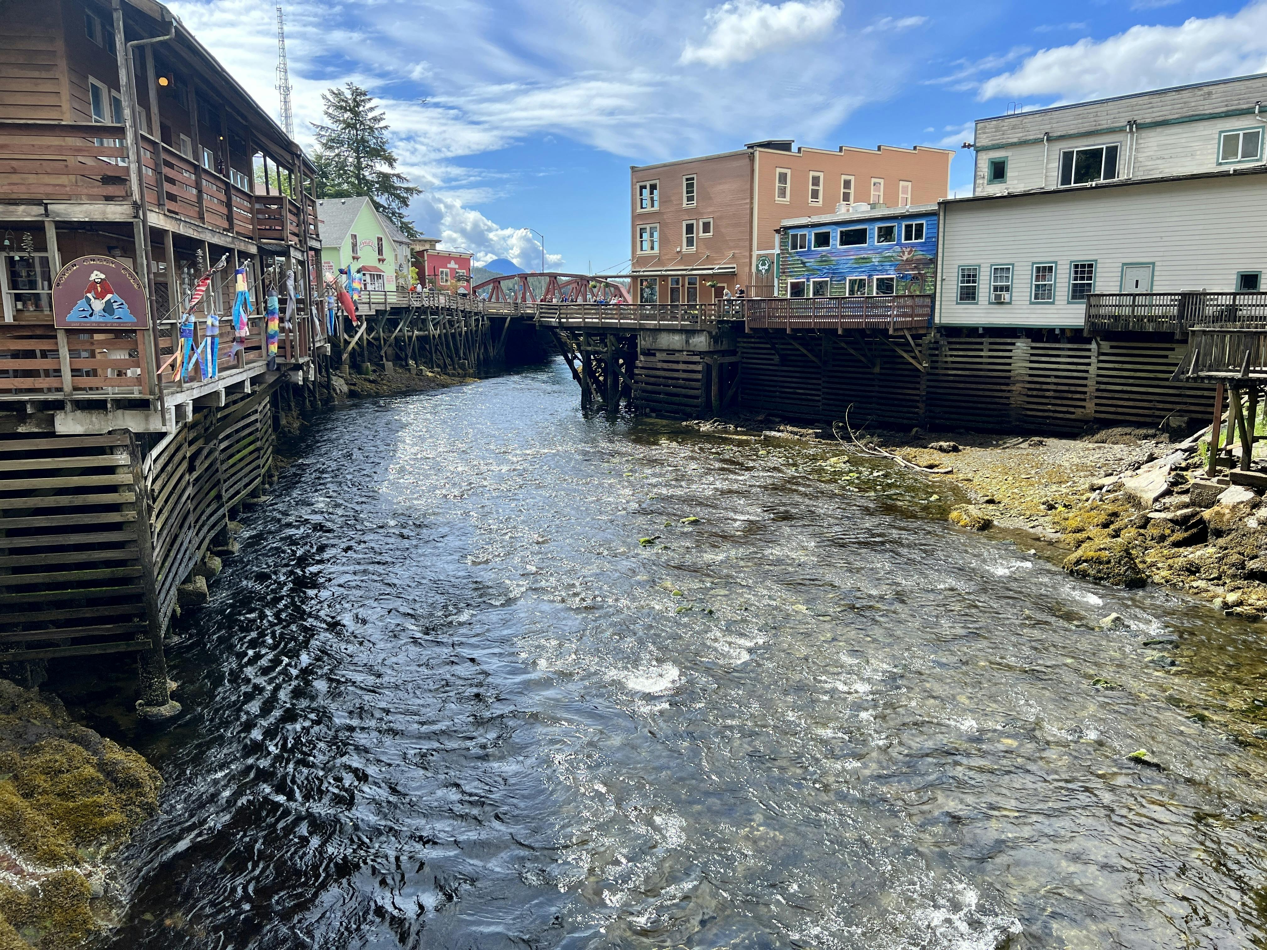 Ketchikan's New Salmon Walk Offers Cruisers Nature Options