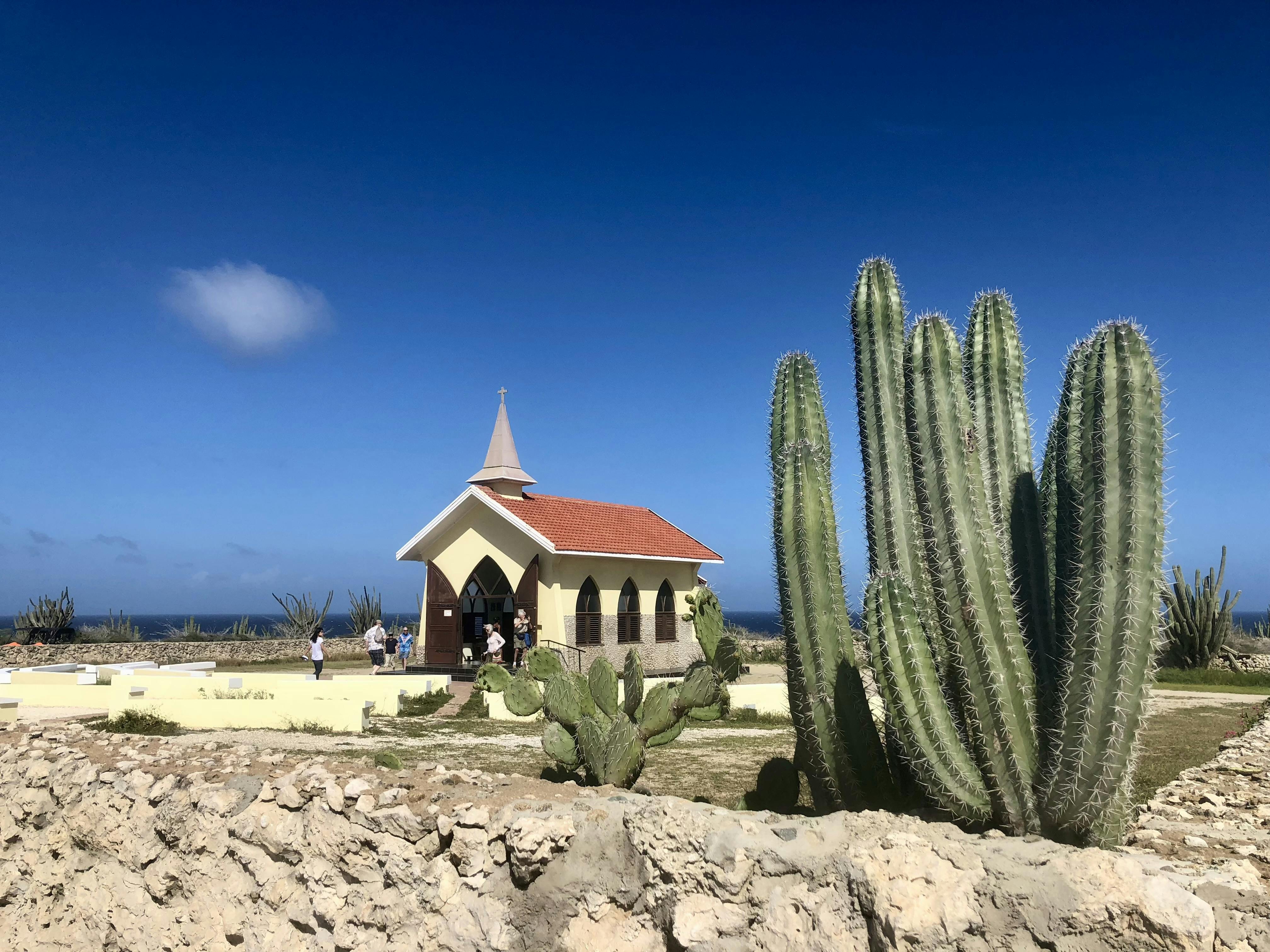 The Best Time to Visit Aruba: A Month-by-Month Guide