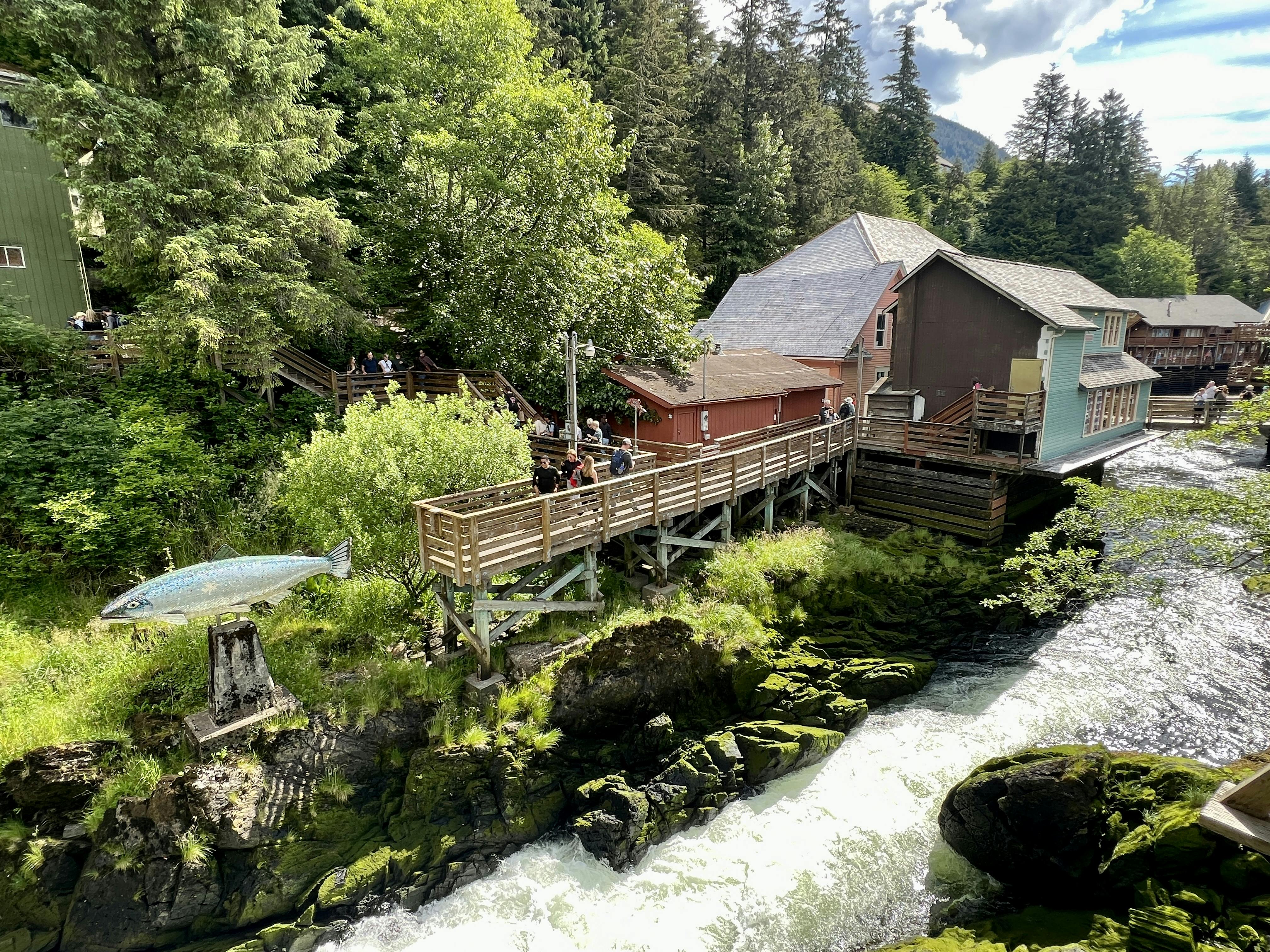 Ketchikan's New Salmon Walk Offers Cruisers Nature Options