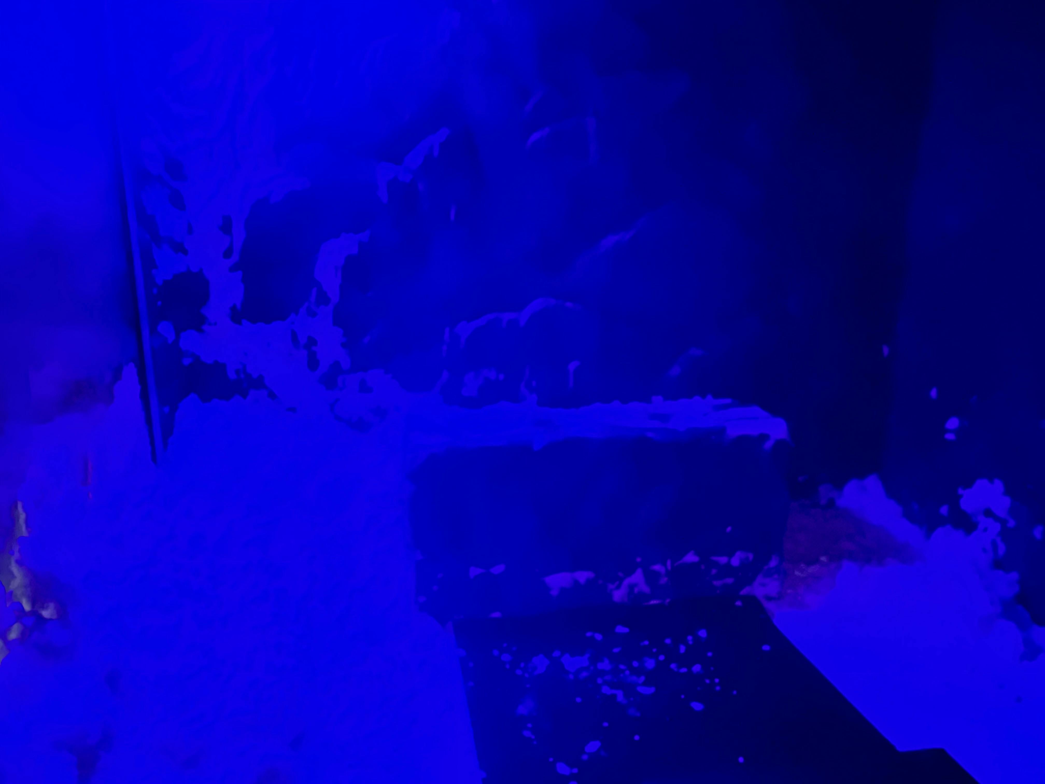 Viking Mars: Why Scandi-Cool Design is the Secret to Viking’s Cruise ...