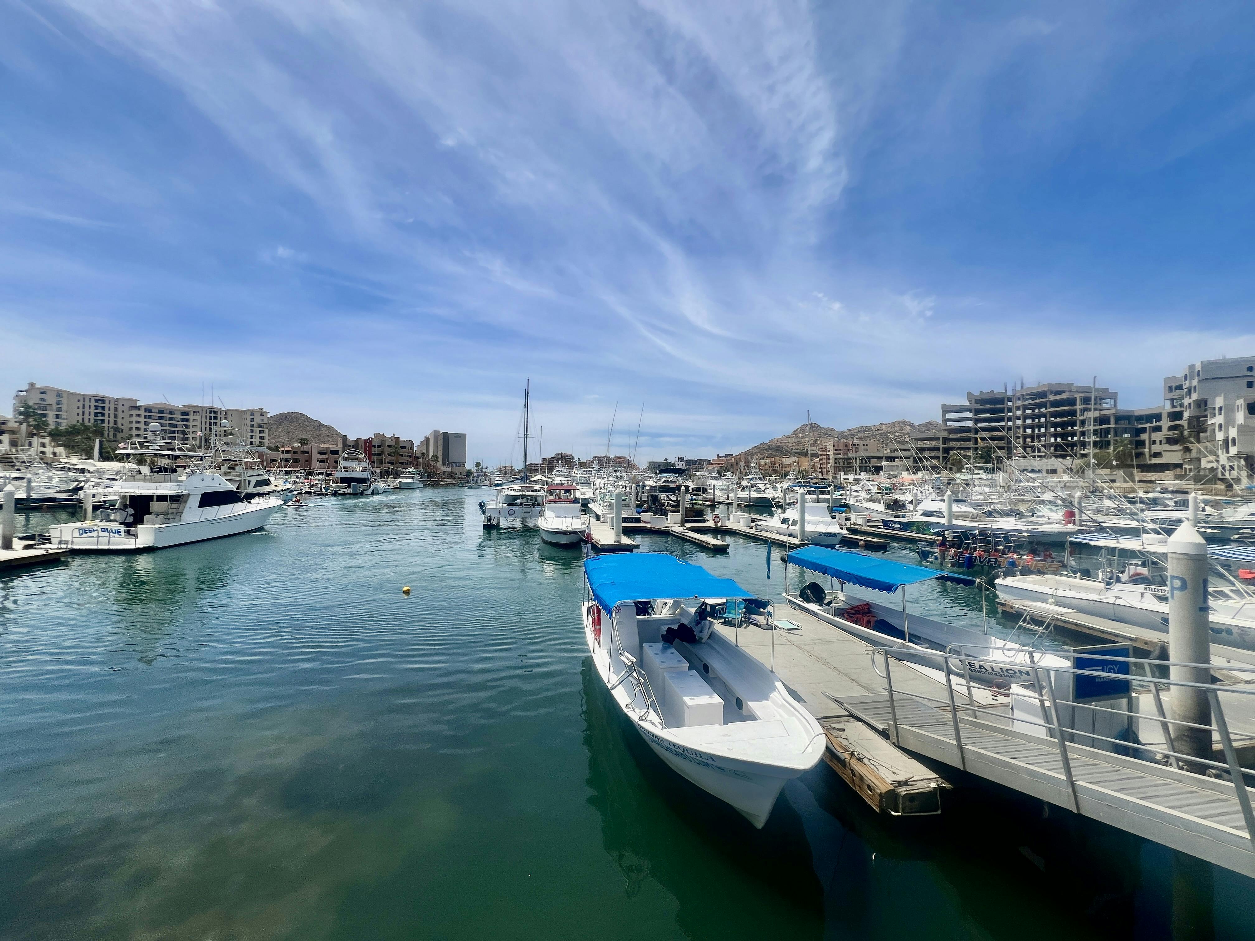 Cabo San Lucas Cruise Port: Amenities, What's Nearby & More