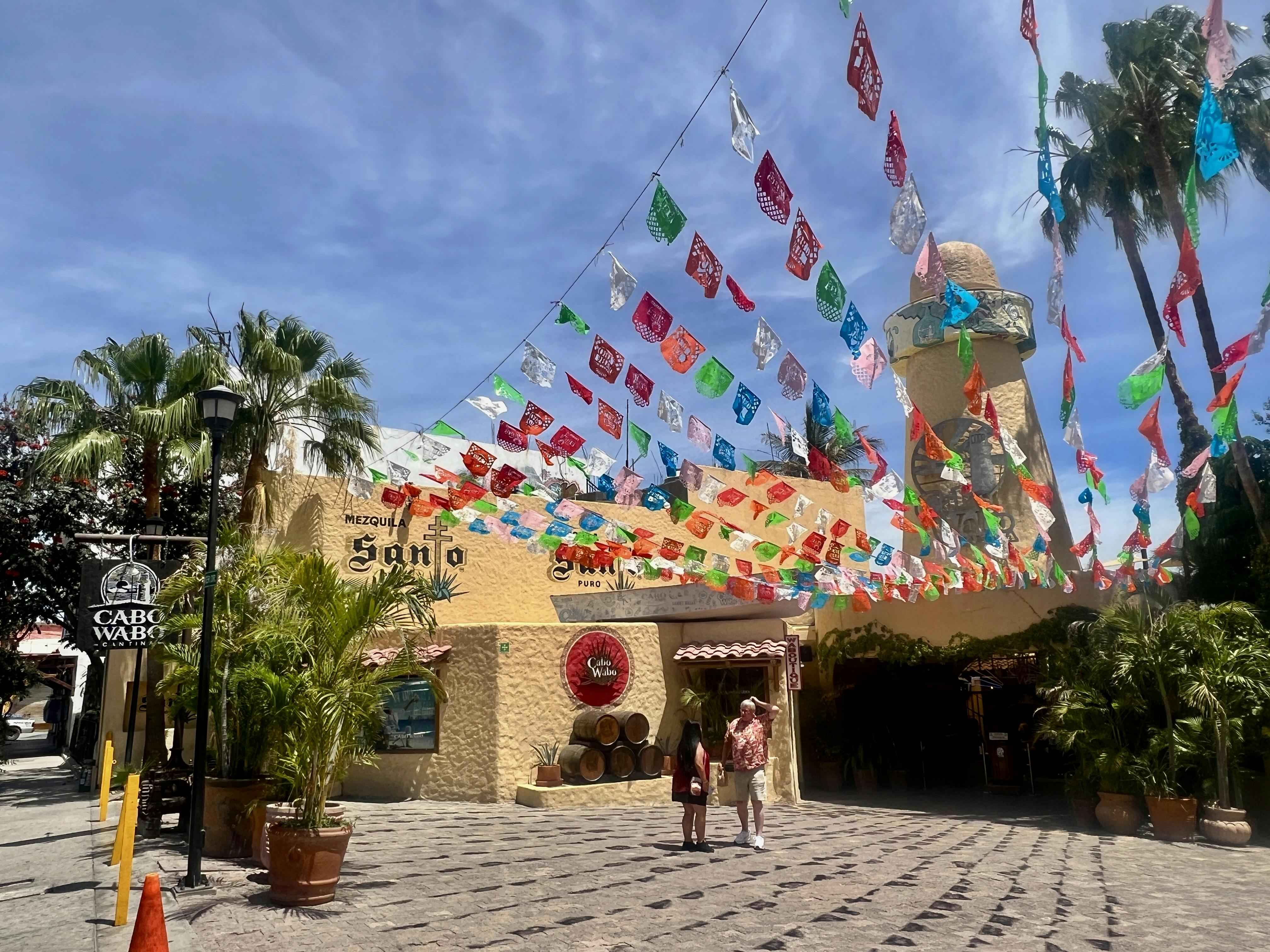 Cabo San Lucas Cruise Port: Amenities, What's Nearby & More