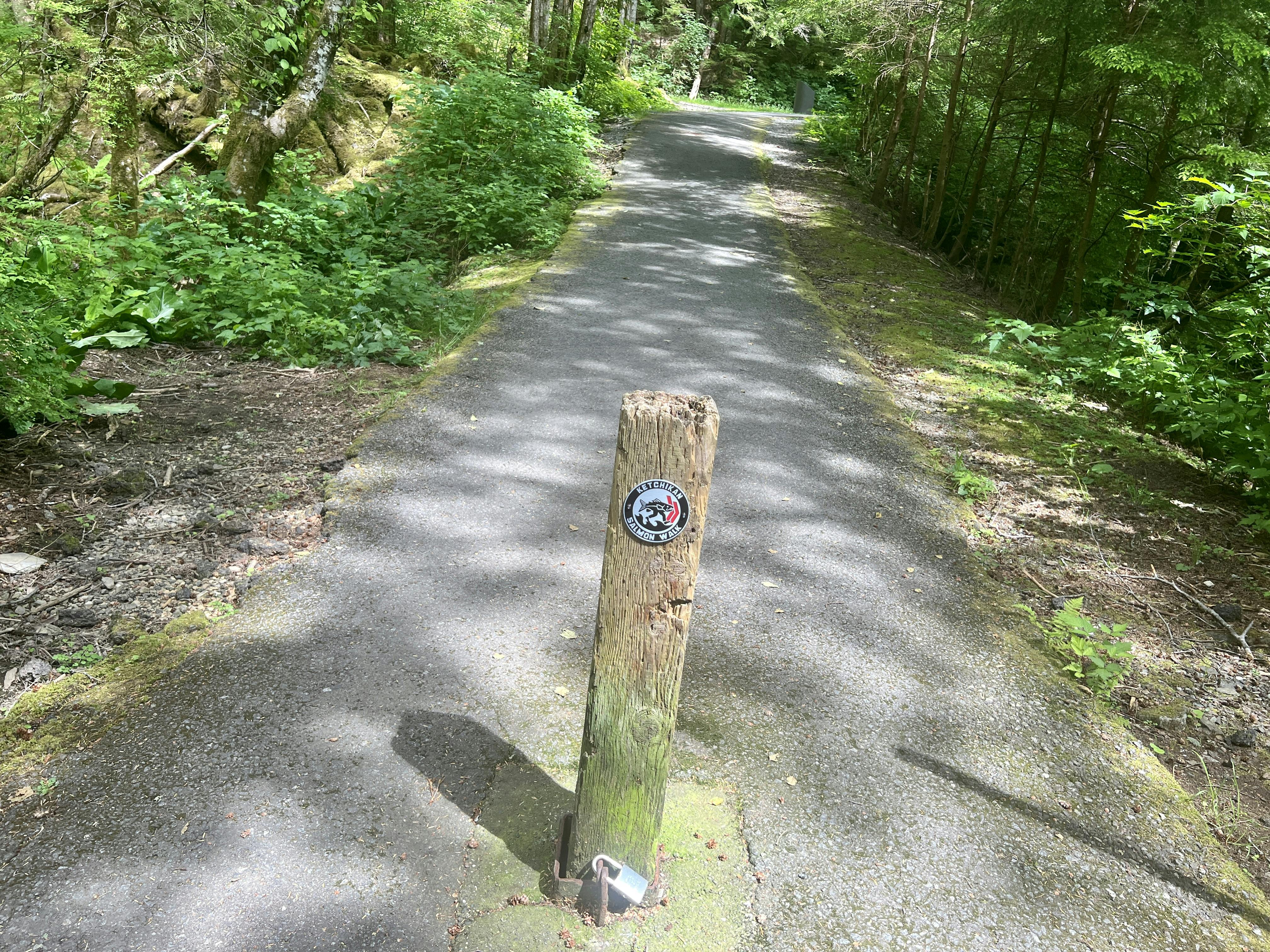 Ketchikan's New Salmon Walk Offers Cruisers Nature Options