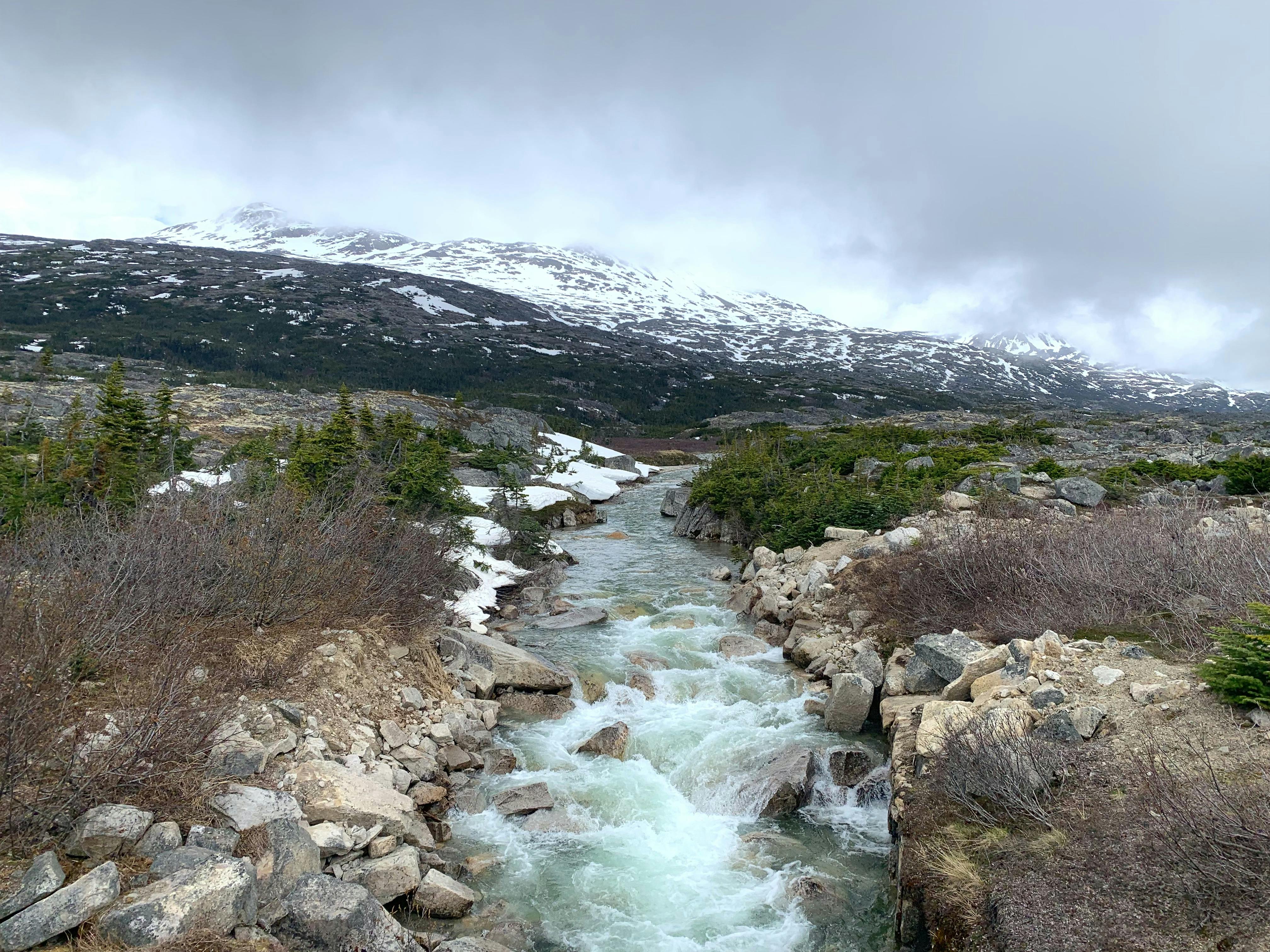 Why Visit The Yukon on an Alaska Cruise Tour