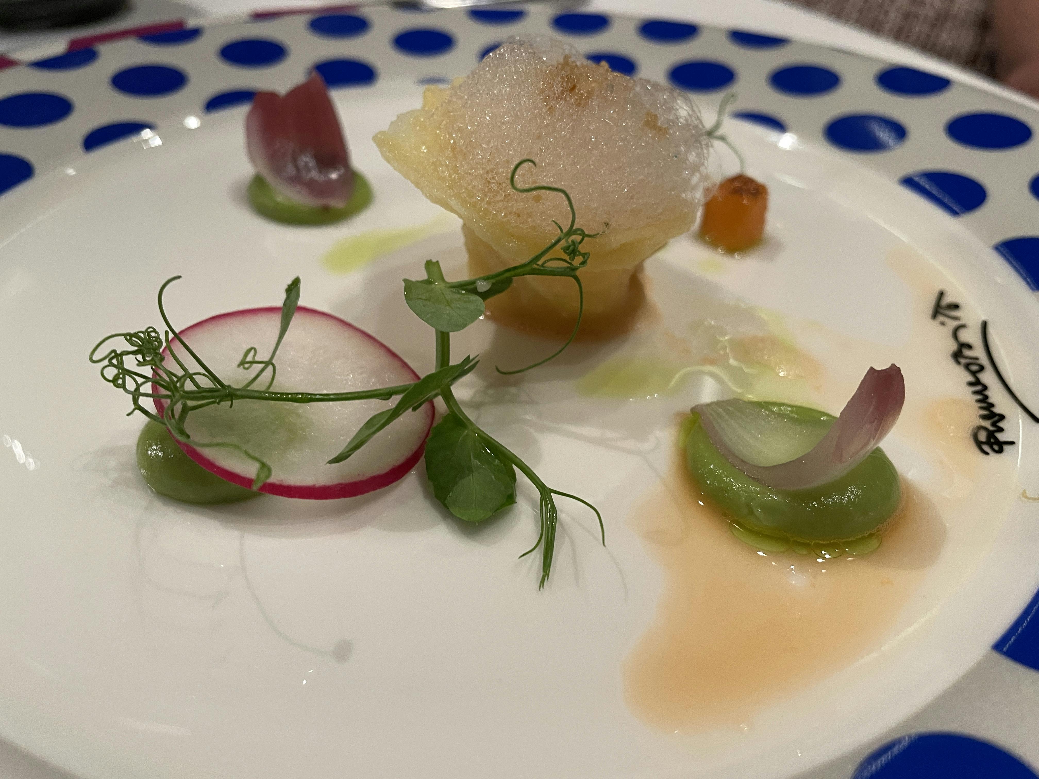 Star Princess FAQs: What You Need to Know Now