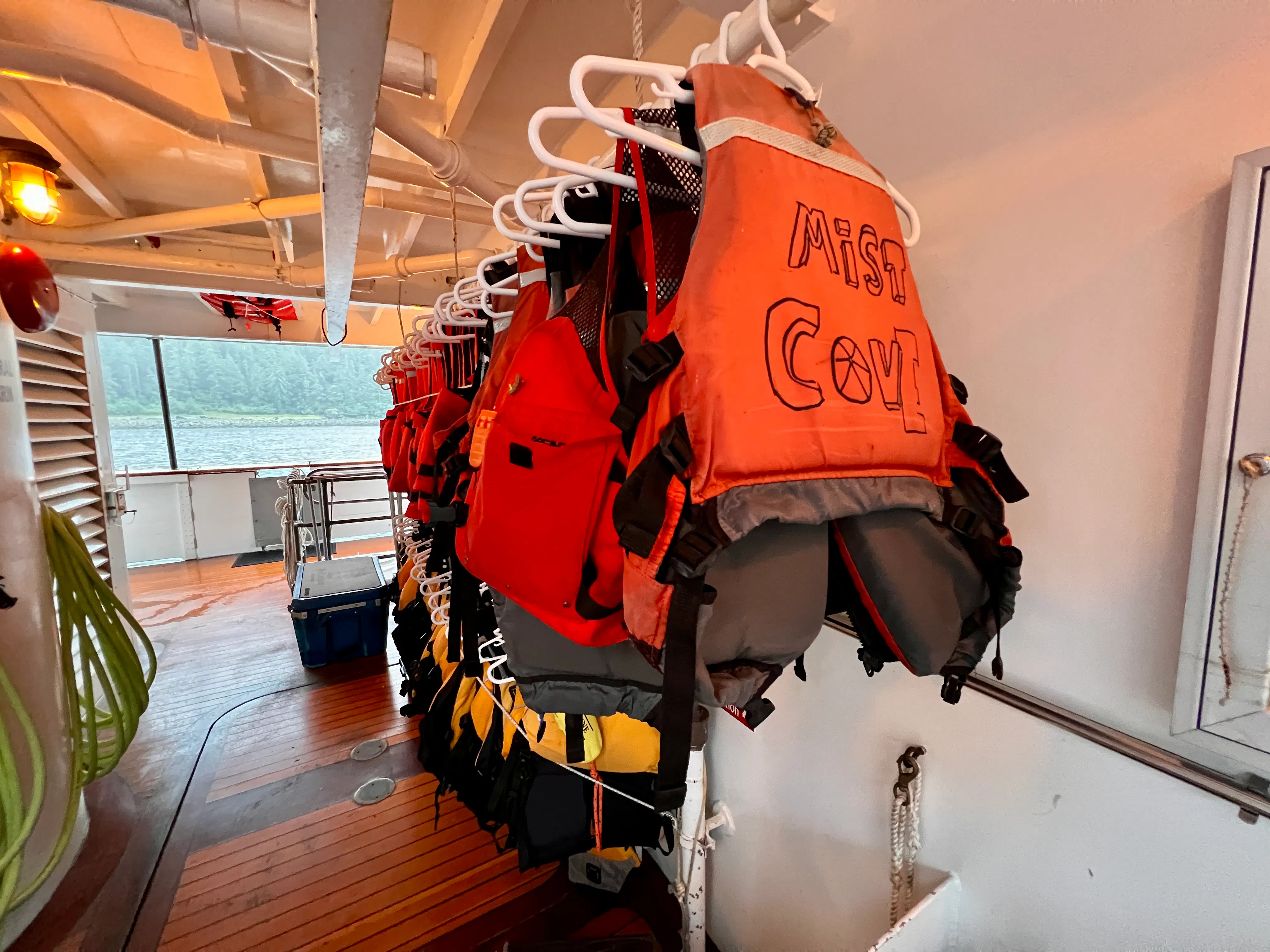 What to Expect: Man Overboard on a Cruise Ship - Cruise Critic