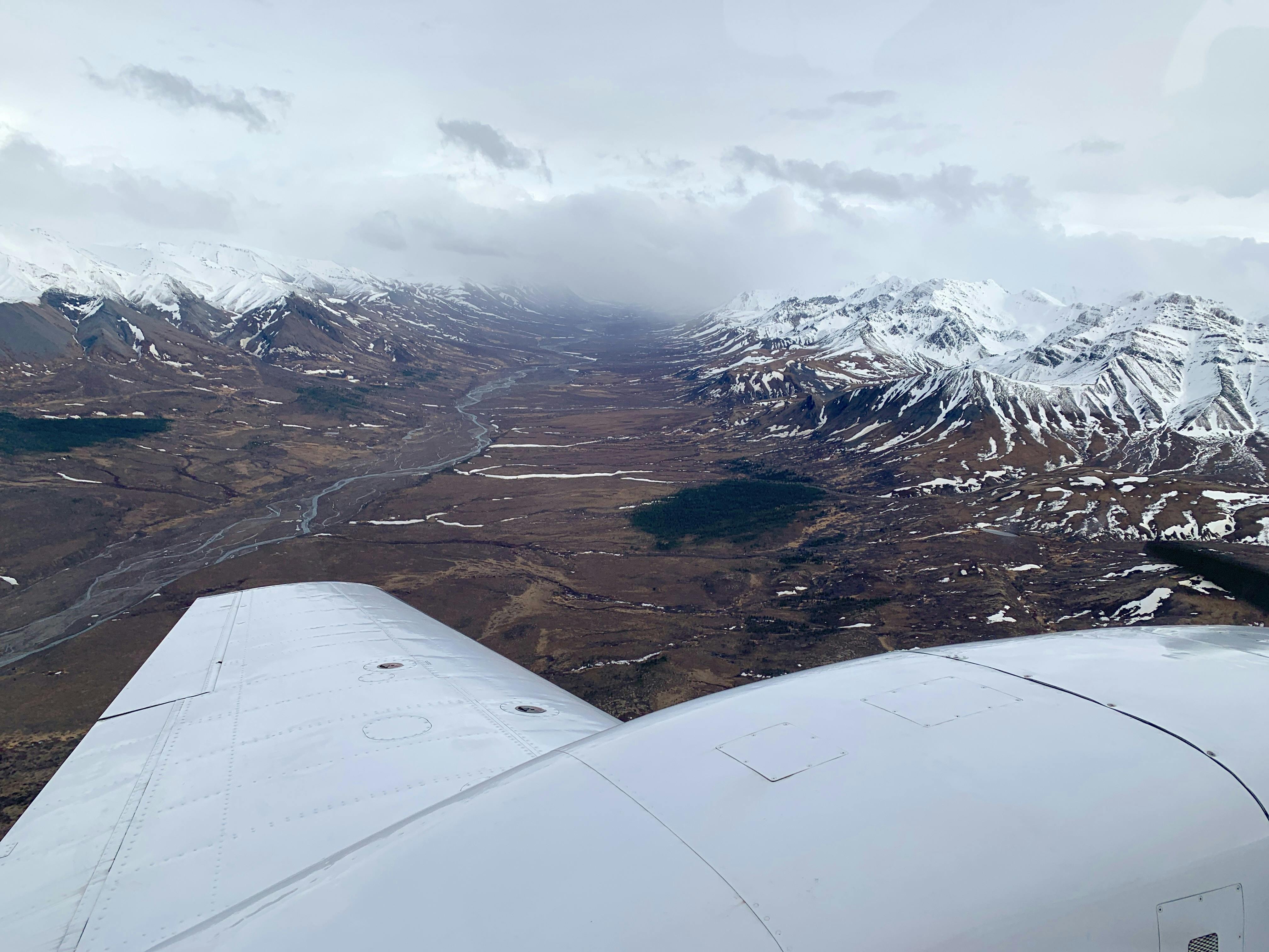 Denali Flightseeing: Our Experience & What You Need to Know