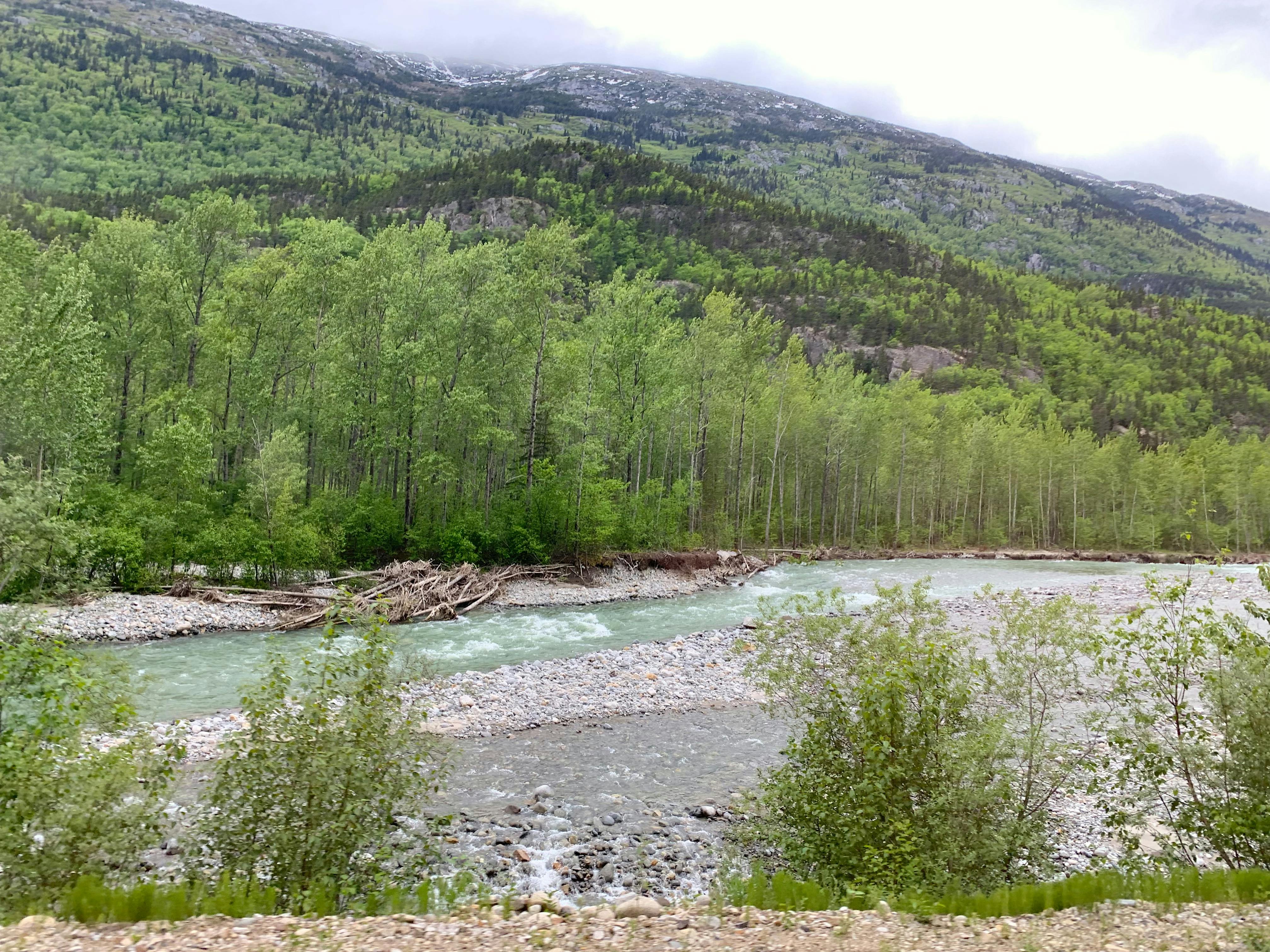 Why Visit The Yukon on an Alaska Cruise Tour