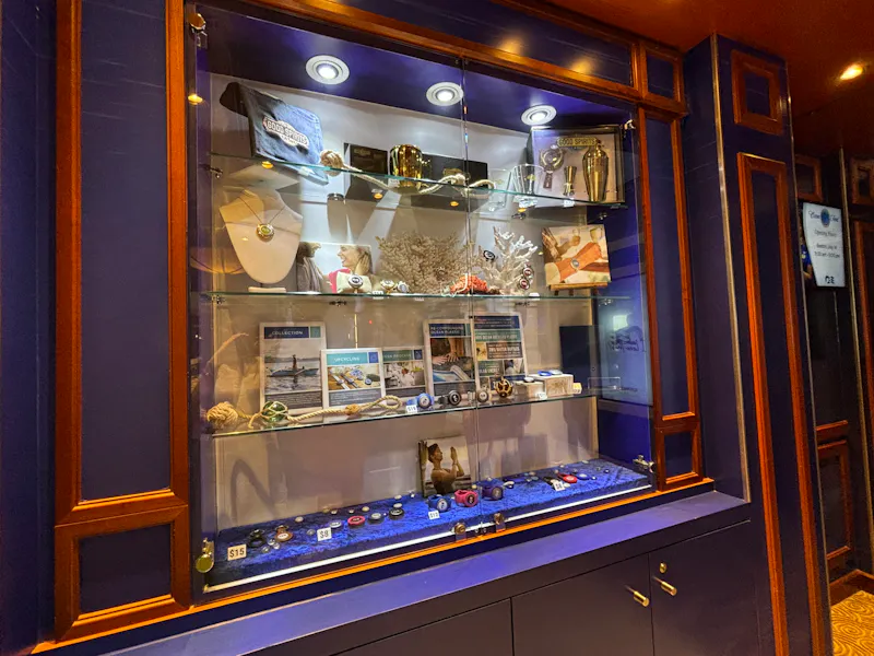 Best Ways to Accessorize and Carry Princess Medallion - Cruise Critic