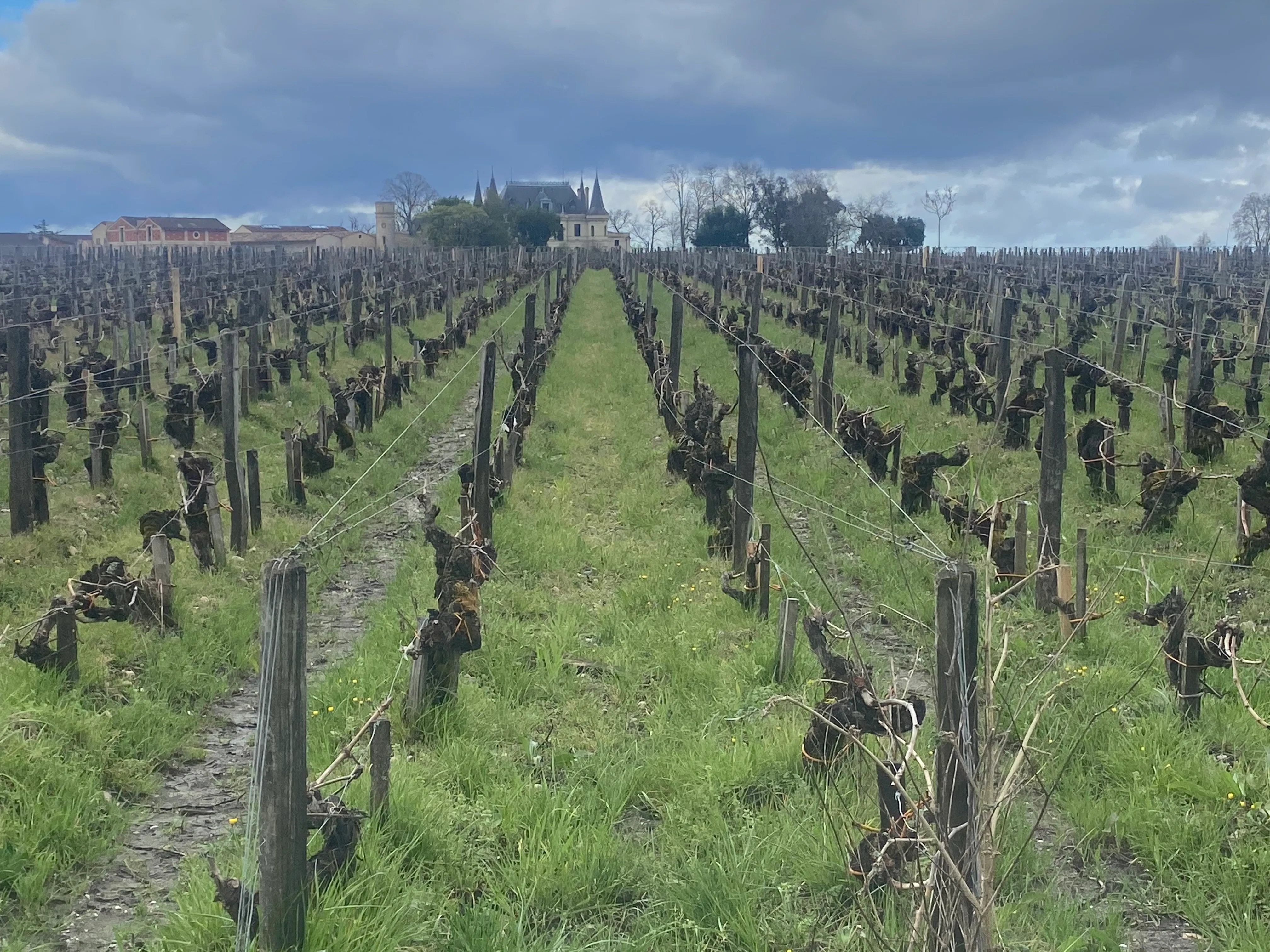 Avalon Waterways’ Bordeaux River Cruise: A Wine Lover’s Dream