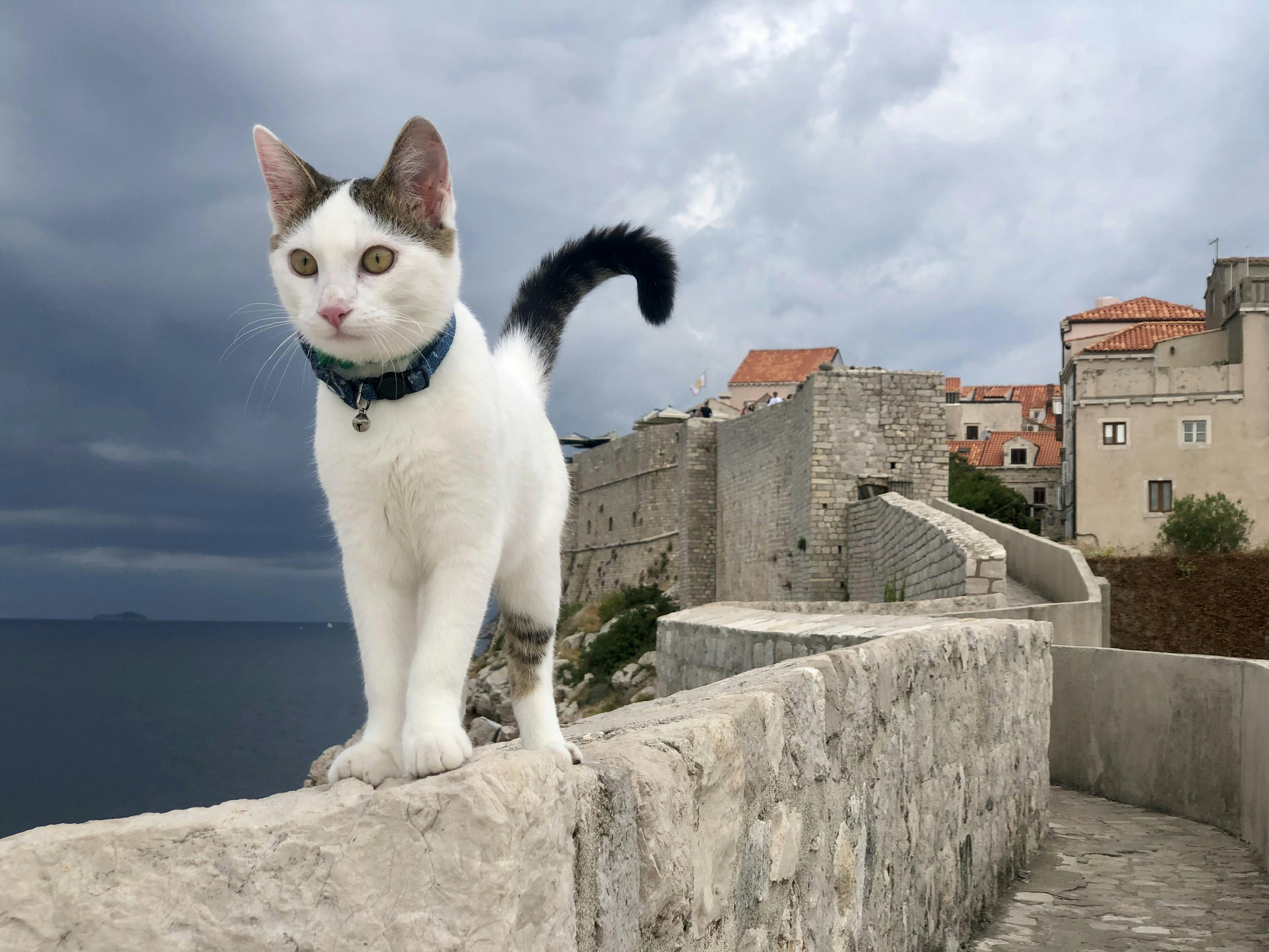 11 Unique Theme Cruises You Should Know About