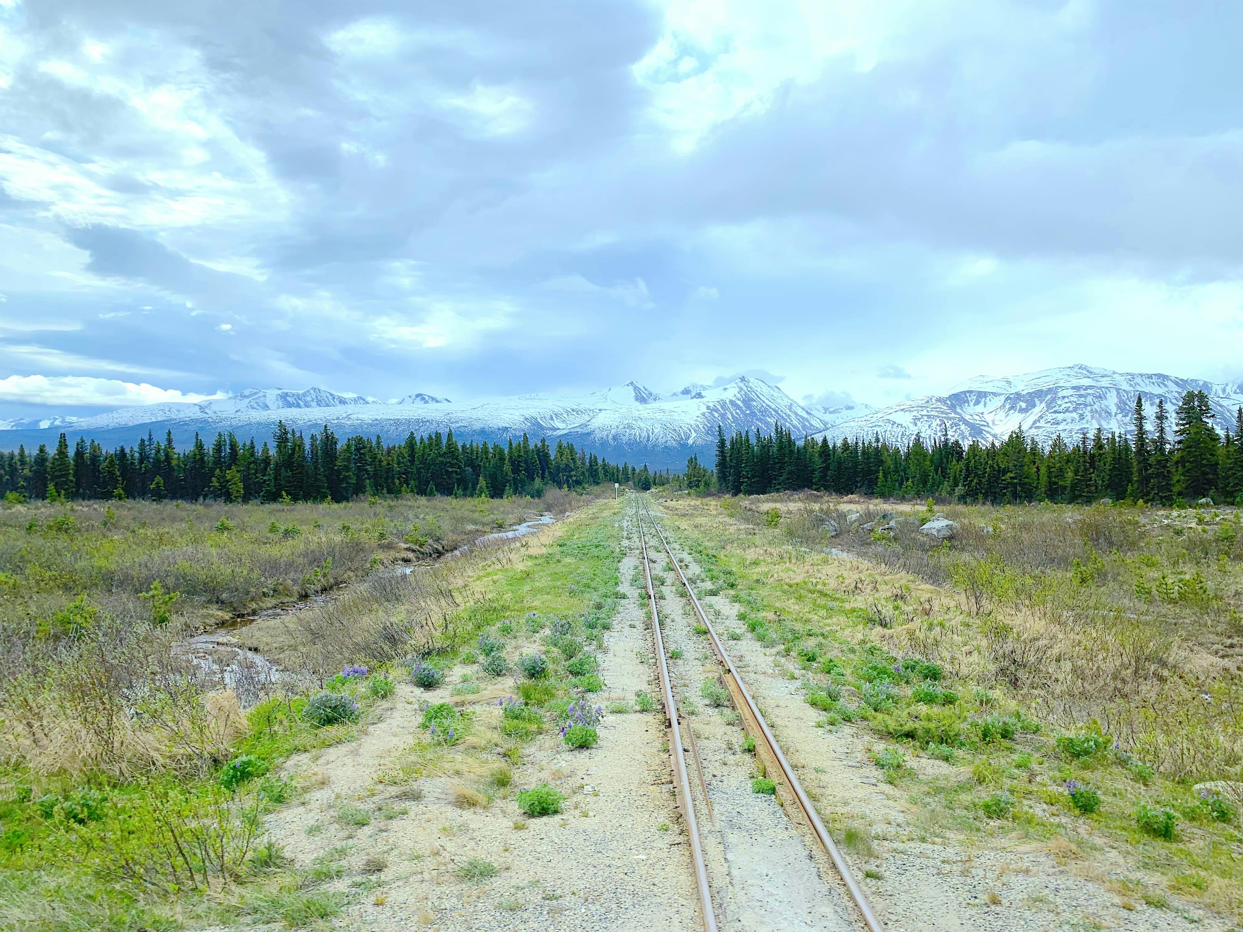 Why Visit The Yukon on an Alaska Cruise Tour