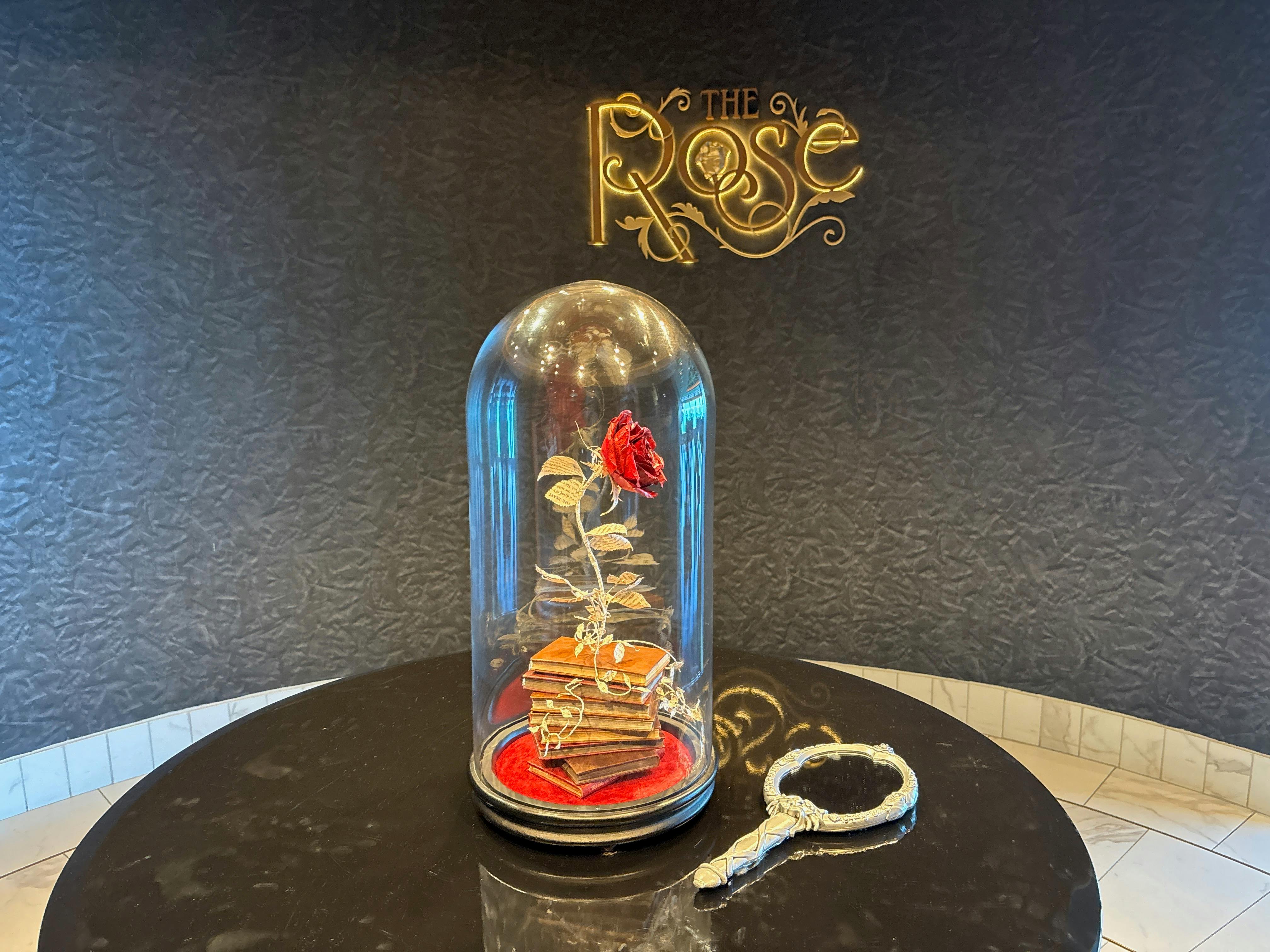 The Cost of a Disney Cruise: What You Should Know