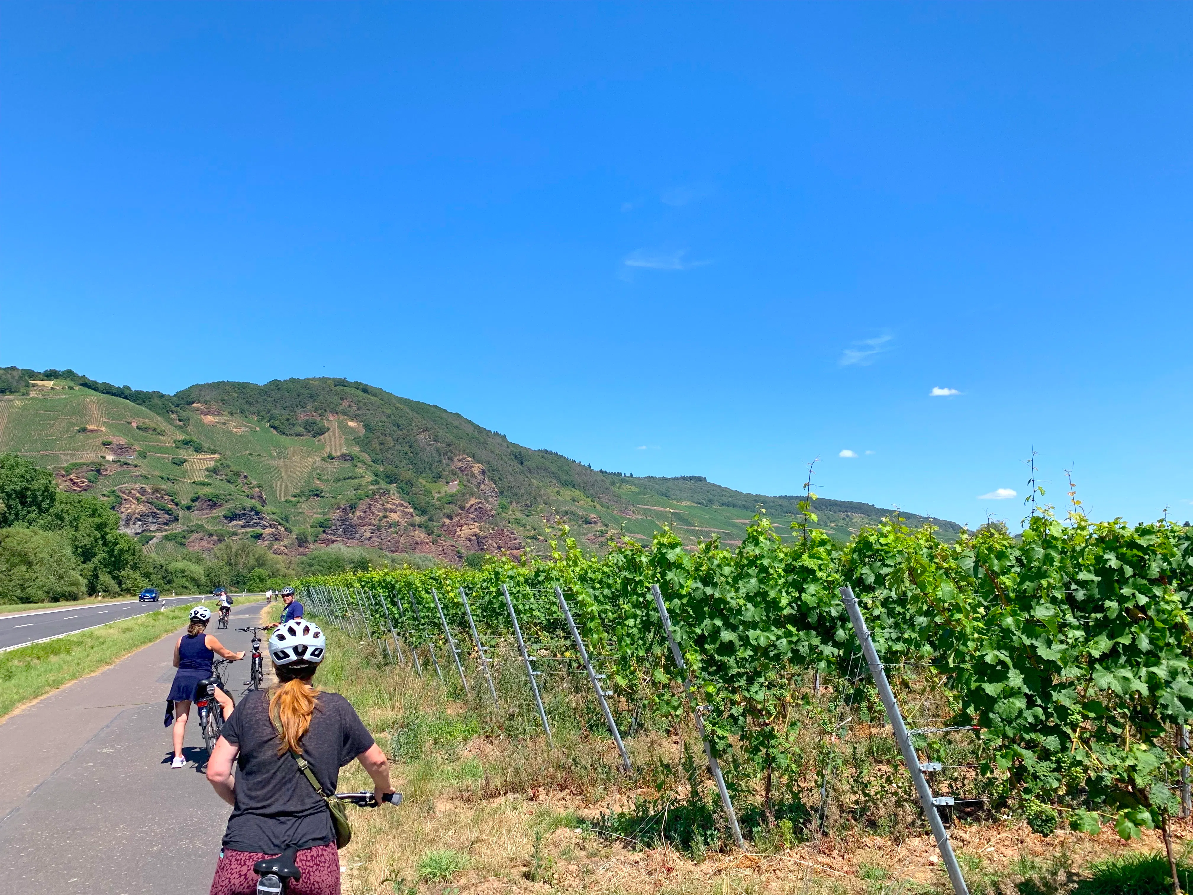 Everything You Need to Know About Shore Excursions