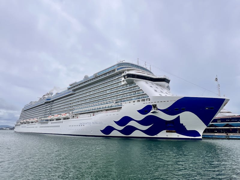 Princess Cruise Ships By Age, Ranked Youngest to Oldest