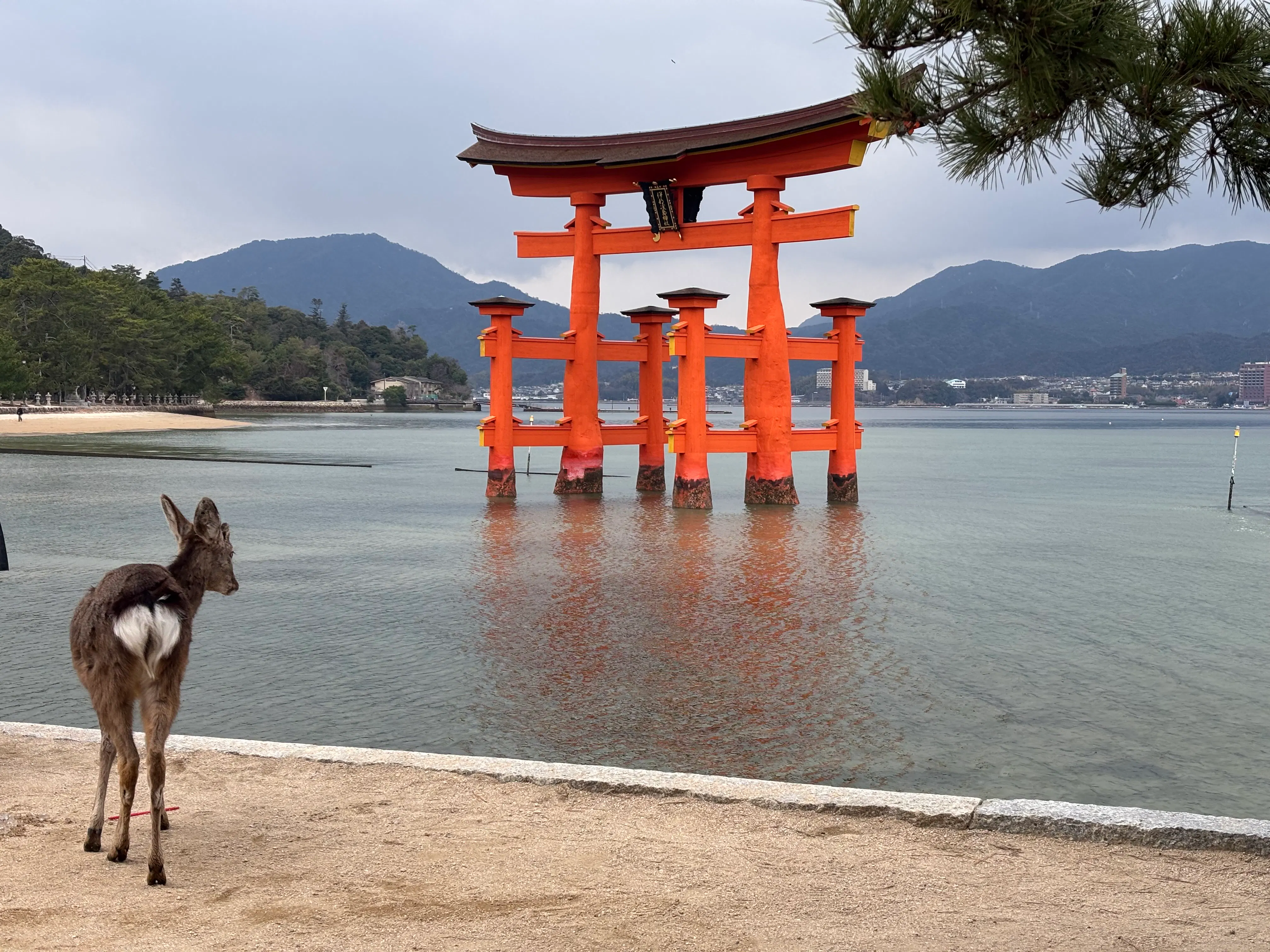 A Deep Dive Into Japan With Princess Cruises - Cruise Critic