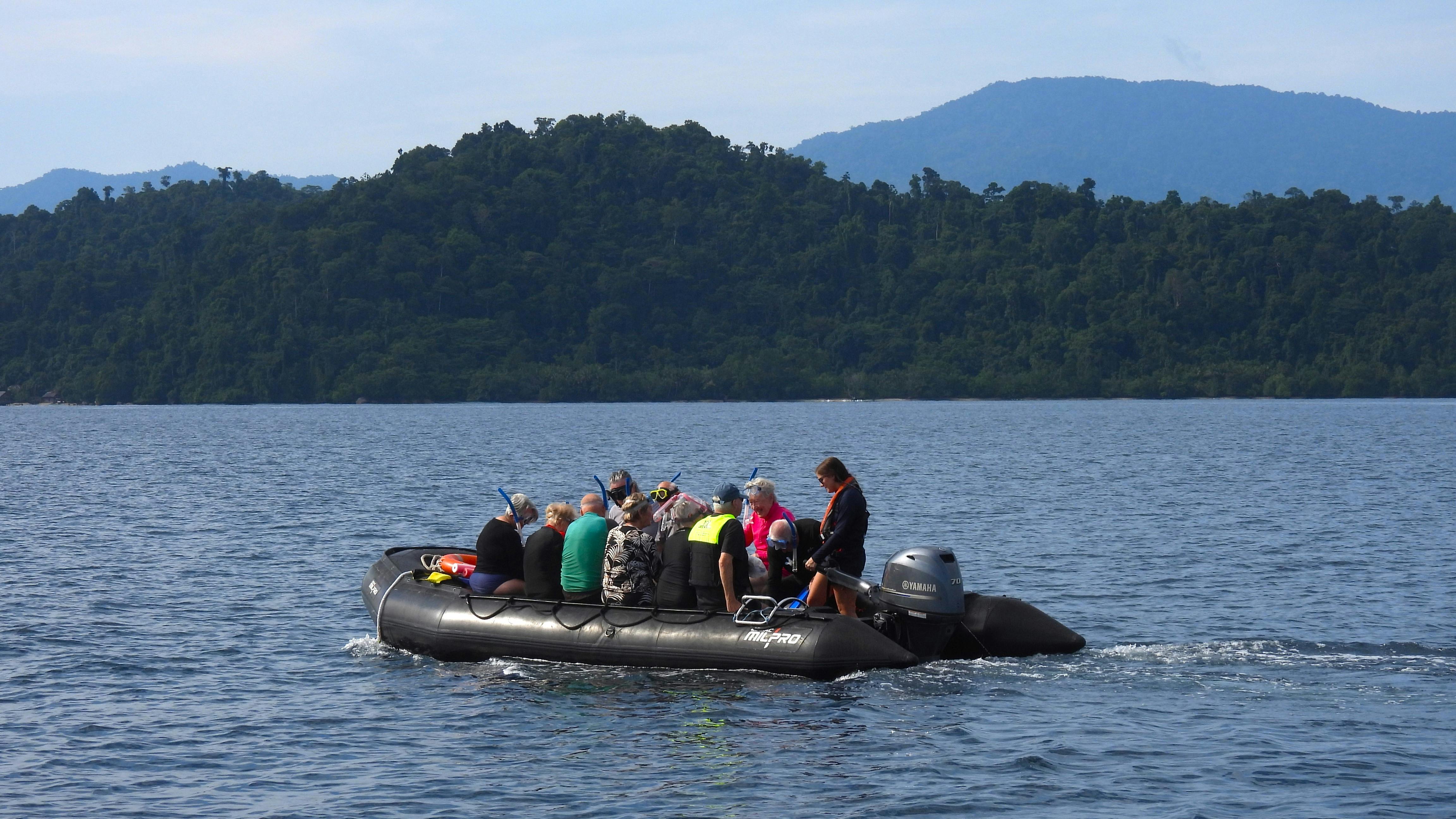 What Happened When I Snorkelled with Whale Sharks on a Cruise to Indonesia
