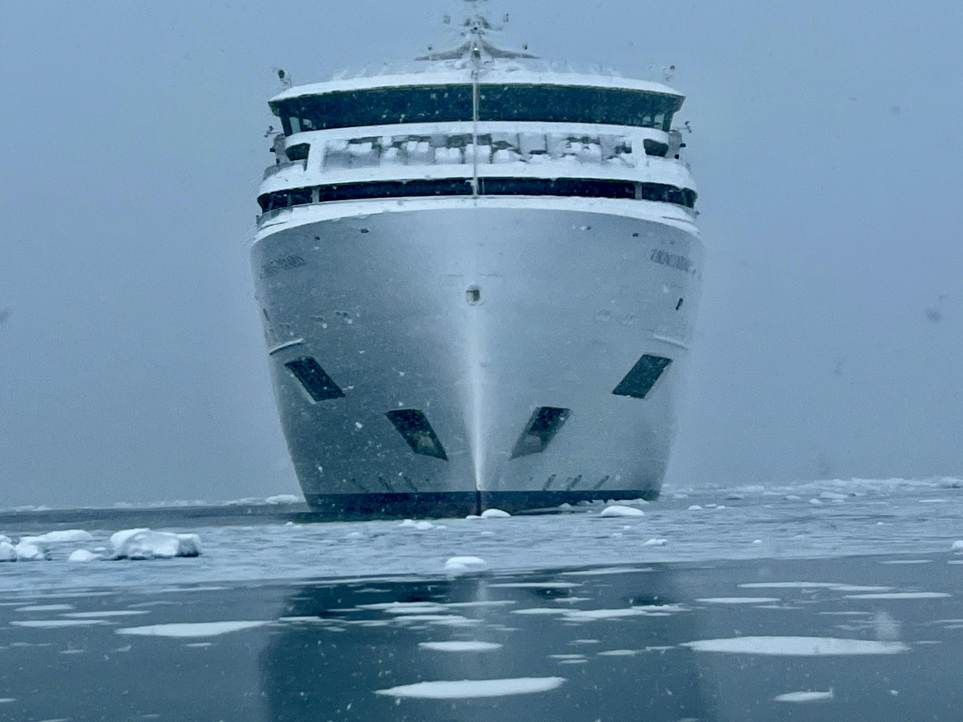 Viking Cruise Antarctica