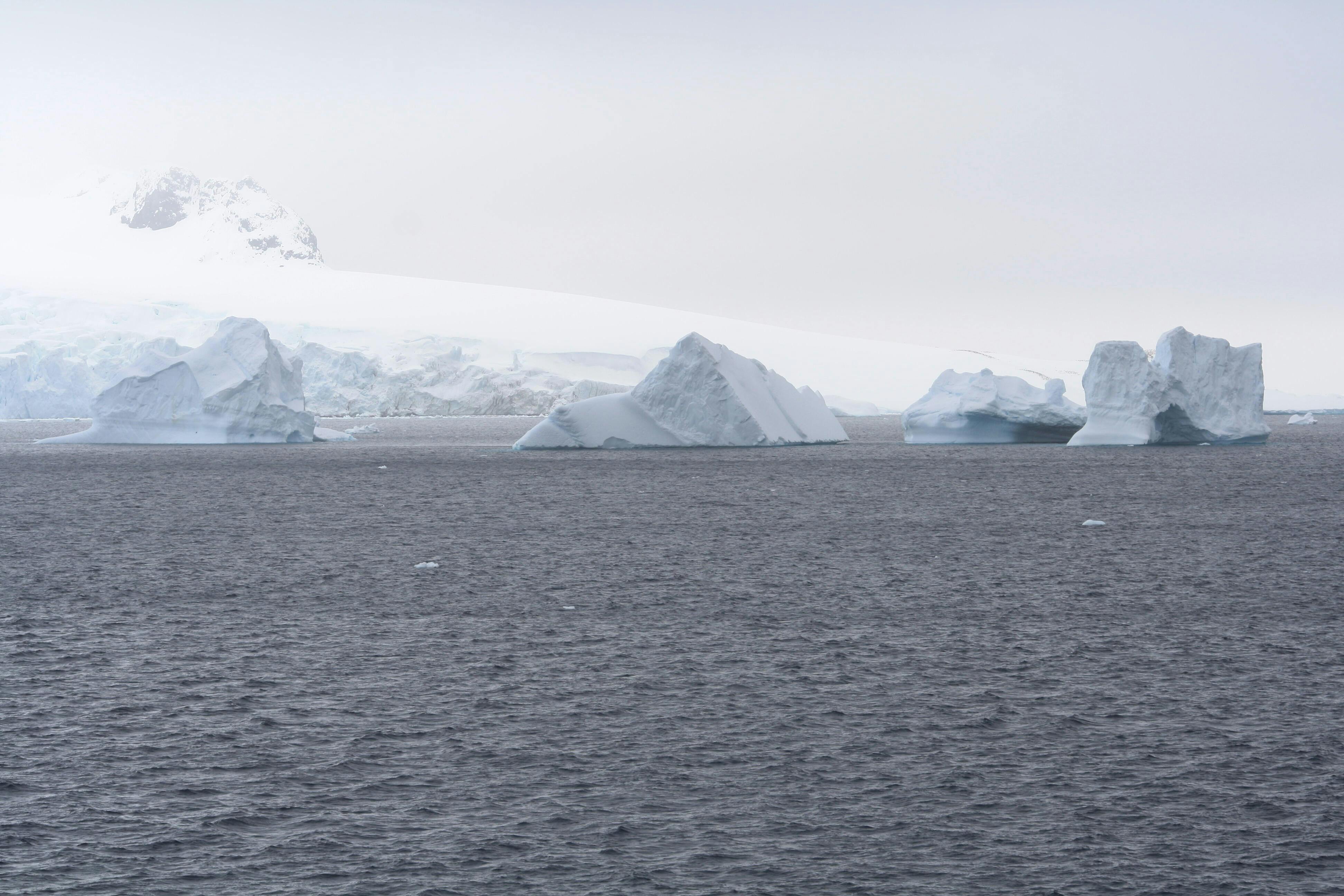 Just Back From Silver Endeavour in Antarctica