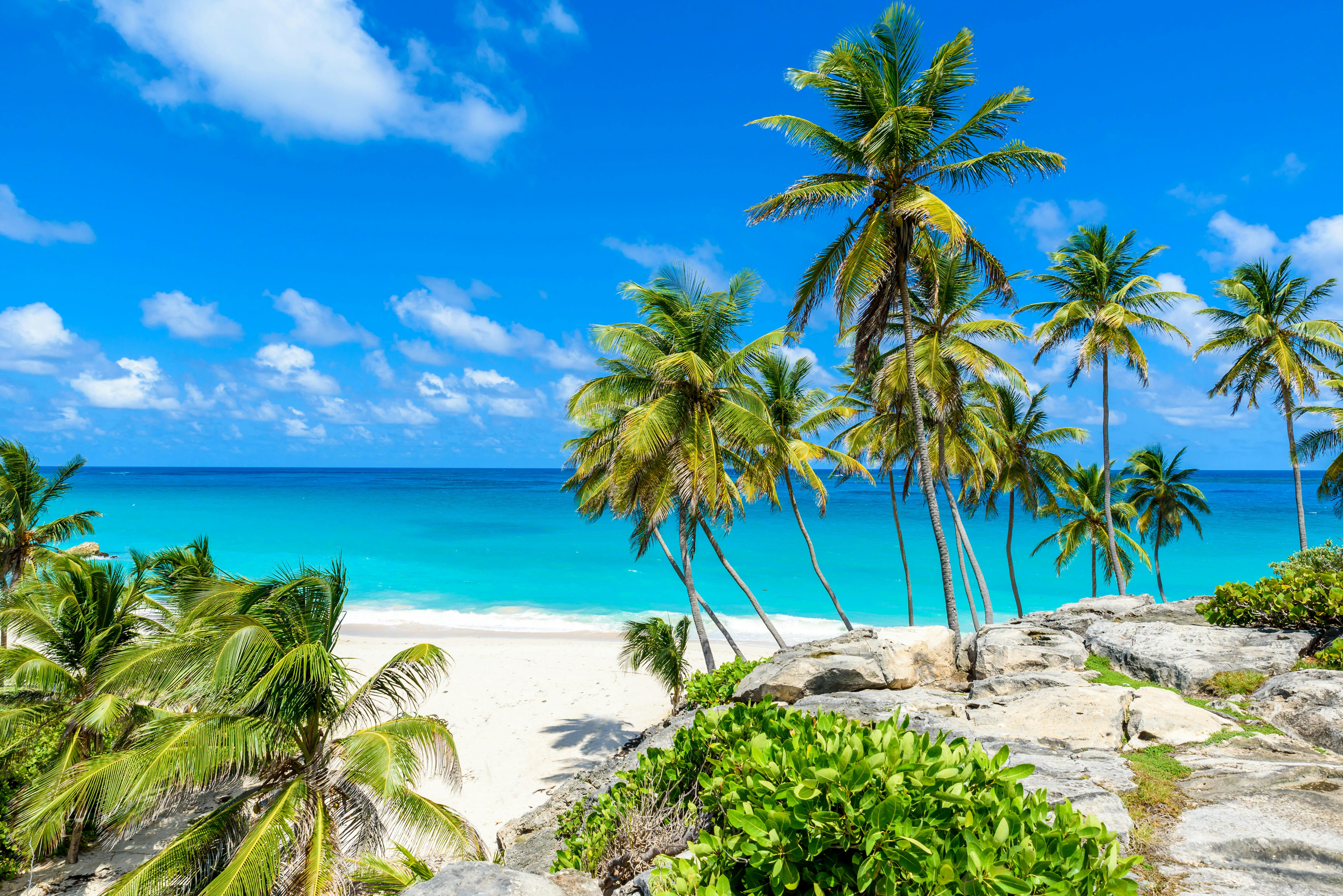 Best Time to Visit Barbados on a Cruise: A Month-by-Month Breakdown