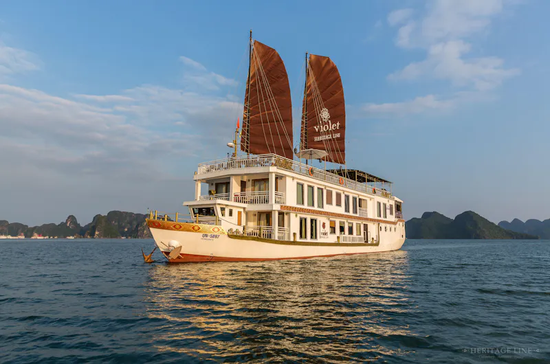 Violet Cruise: Expert Review (2023)